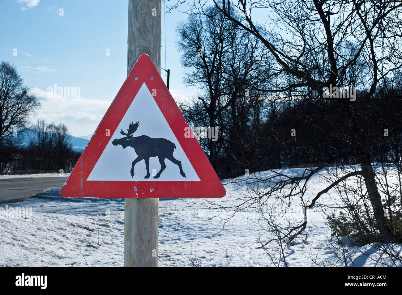 Traffic sign warning for moose crossing the road Stock Photo - Alamy