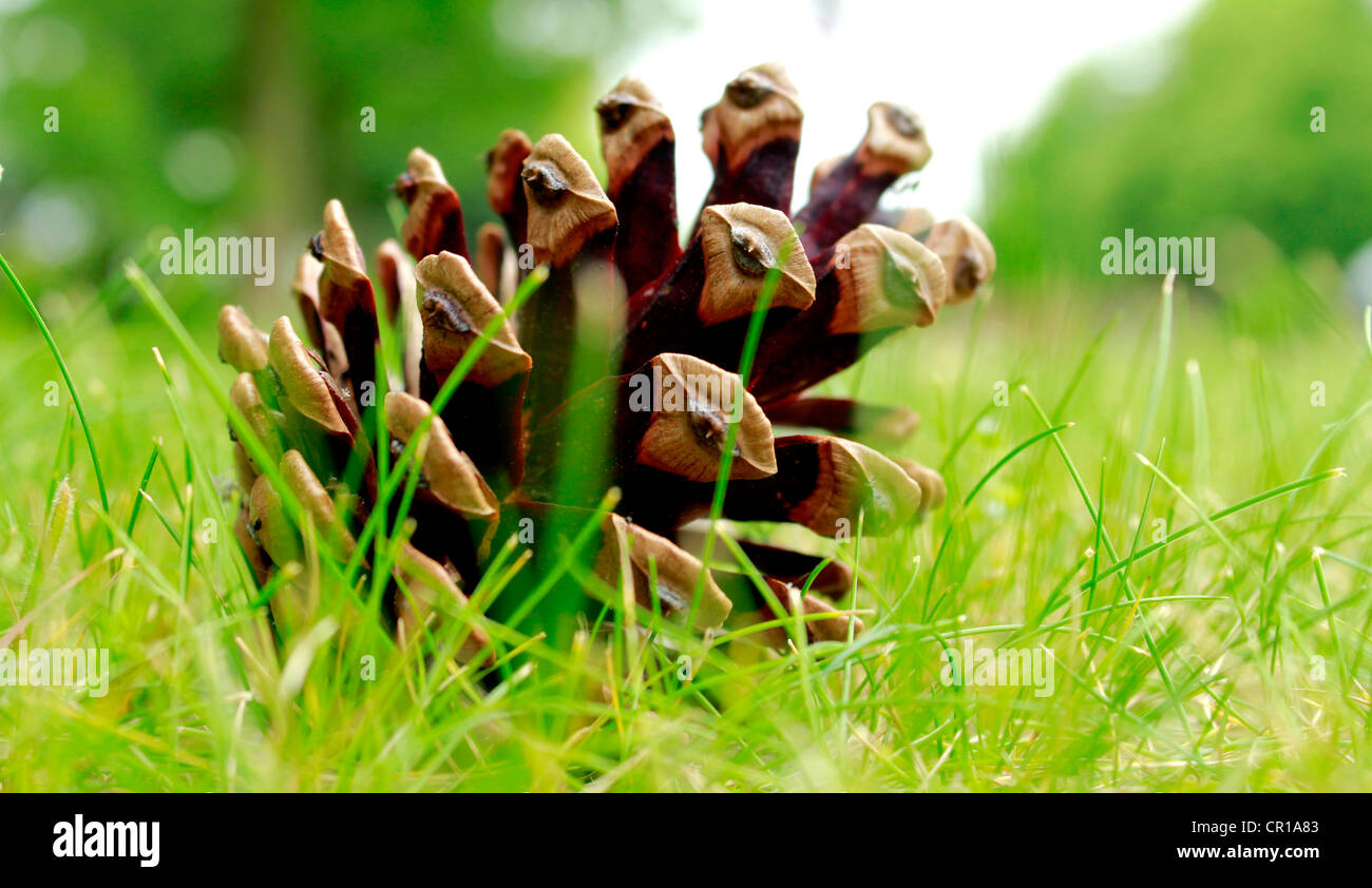 Cone structures hi-res stock photography and images - Alamy