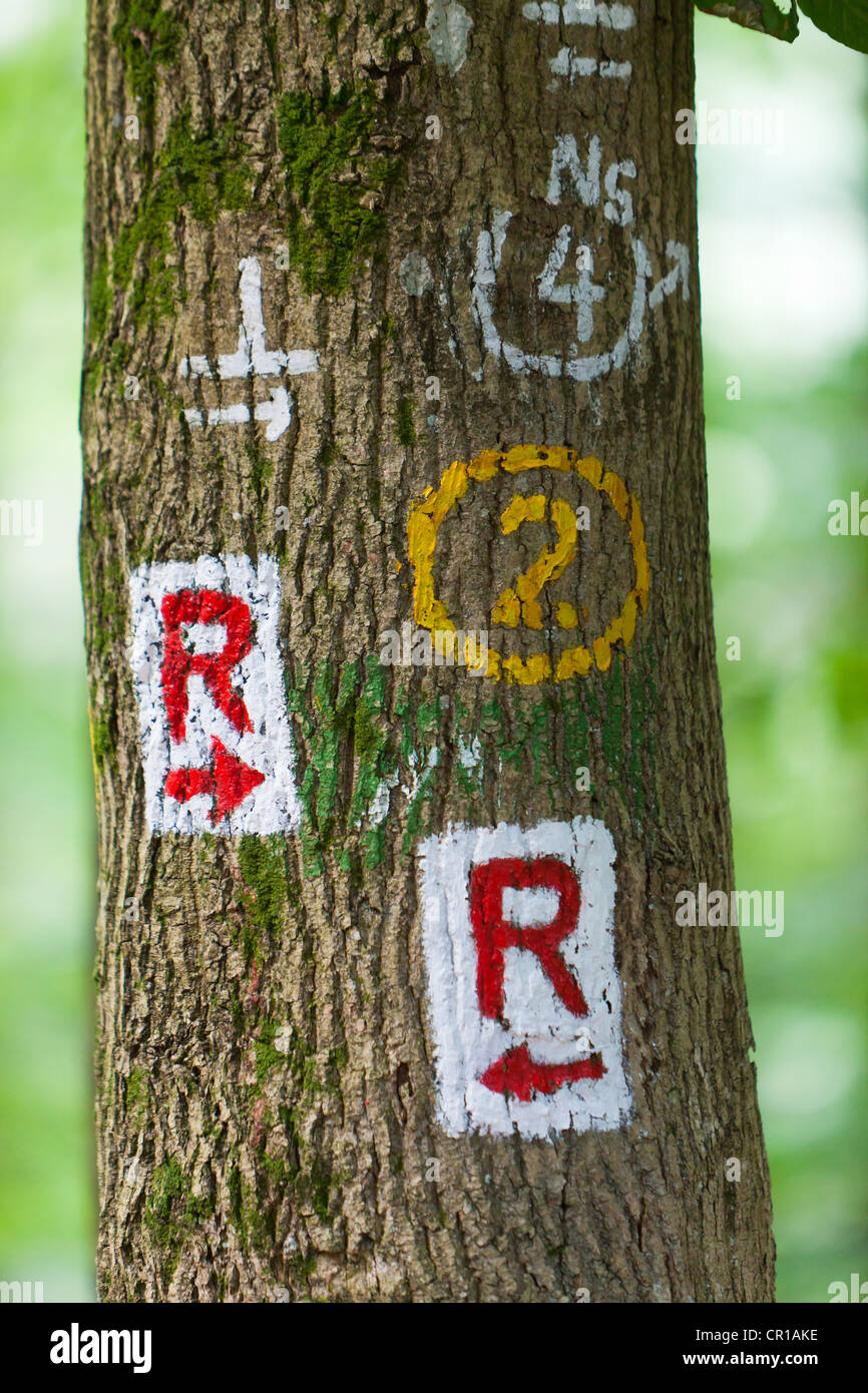 Tree markings hi-res stock photography and images - Alamy