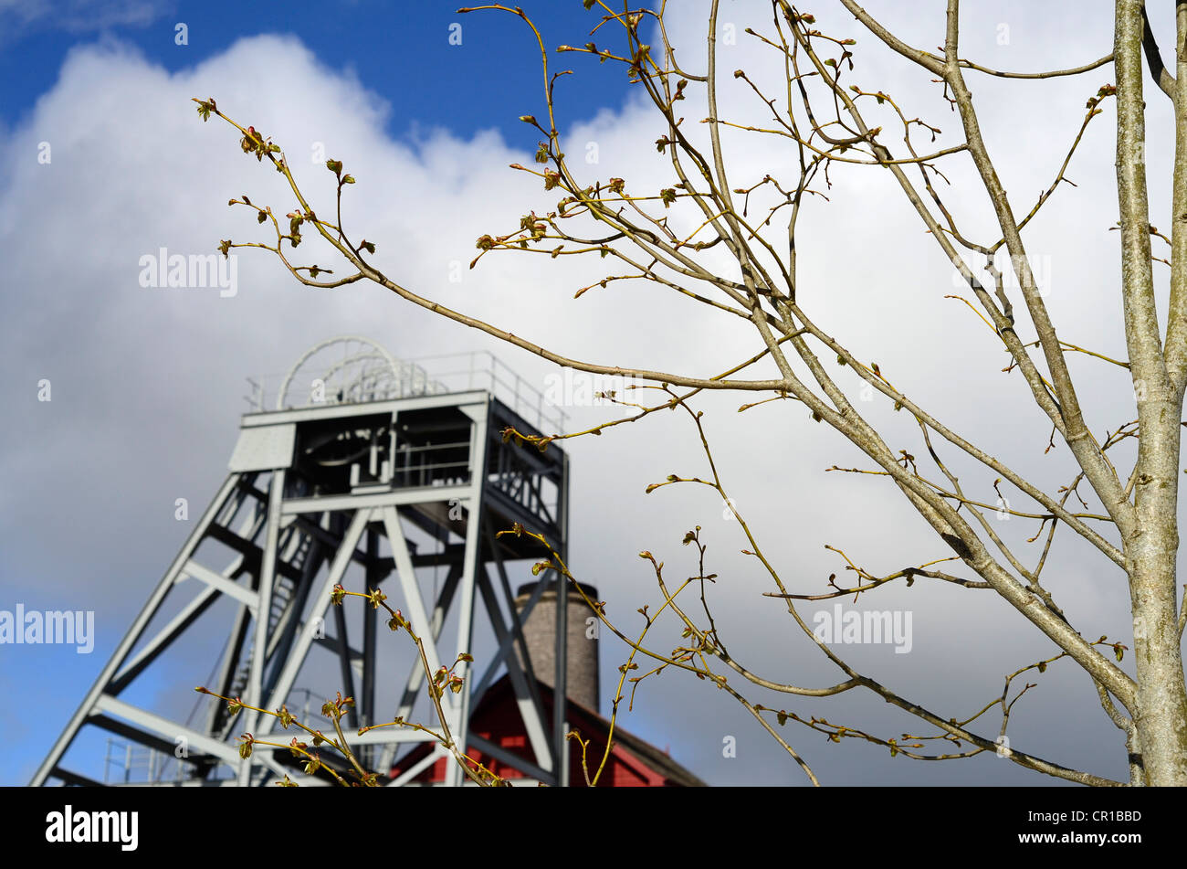 Heartlands museum cornwall hi-res stock photography and images - Alamy