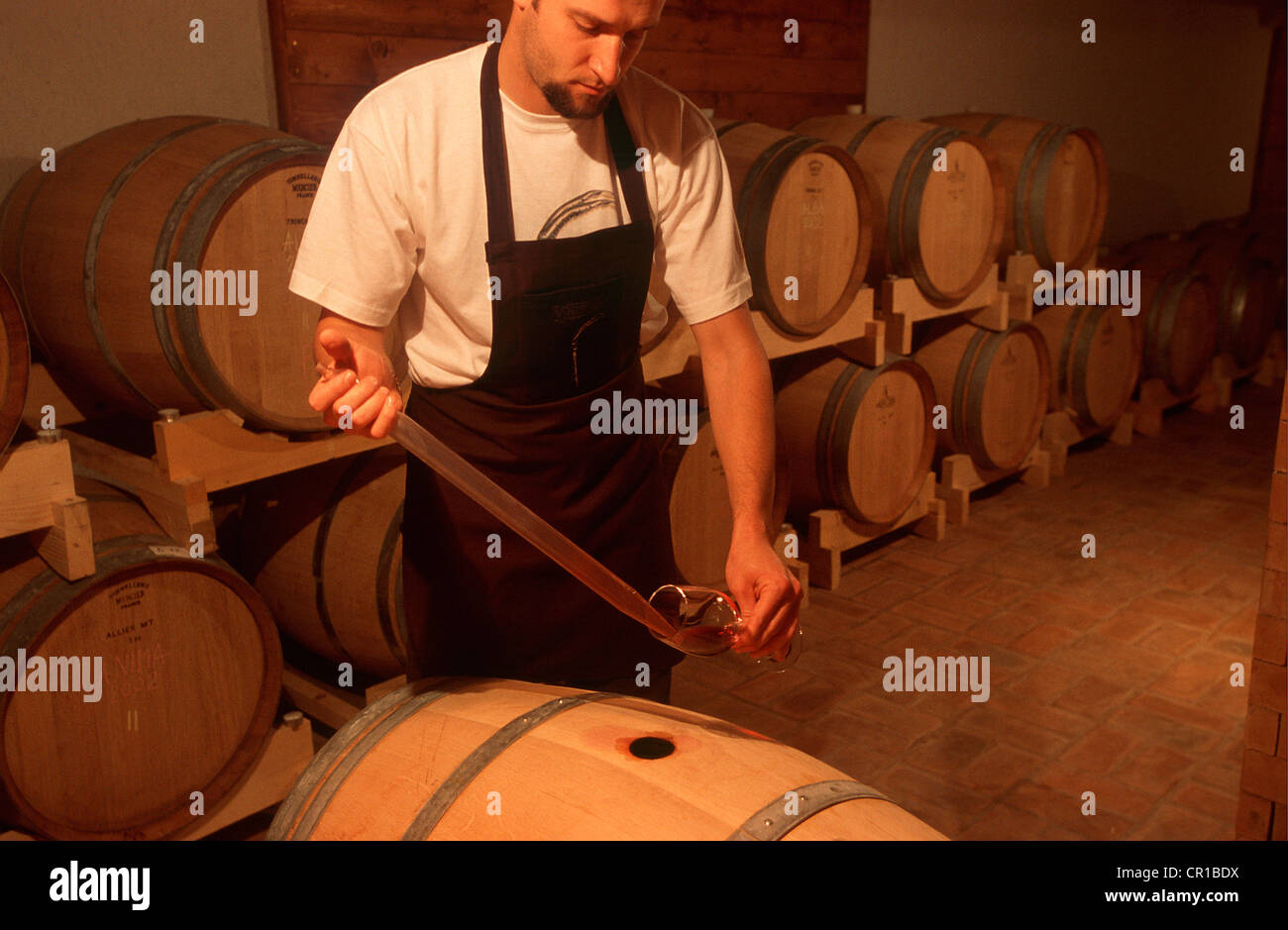 Croatia, Istria, Istria wine of Matosevic Wine Producing Domain Stock ...