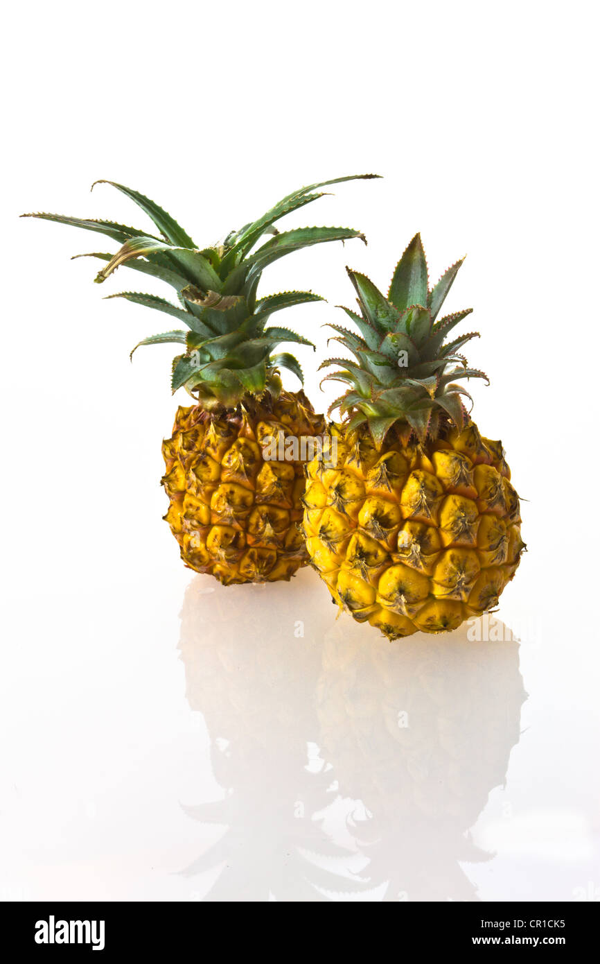 Two Pineapples (Ananas comosus Stock Photo - Alamy