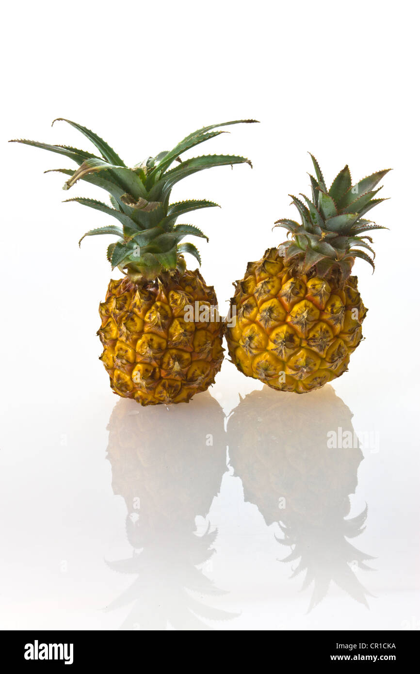 Two Pineapples (Ananas comosus Stock Photo - Alamy
