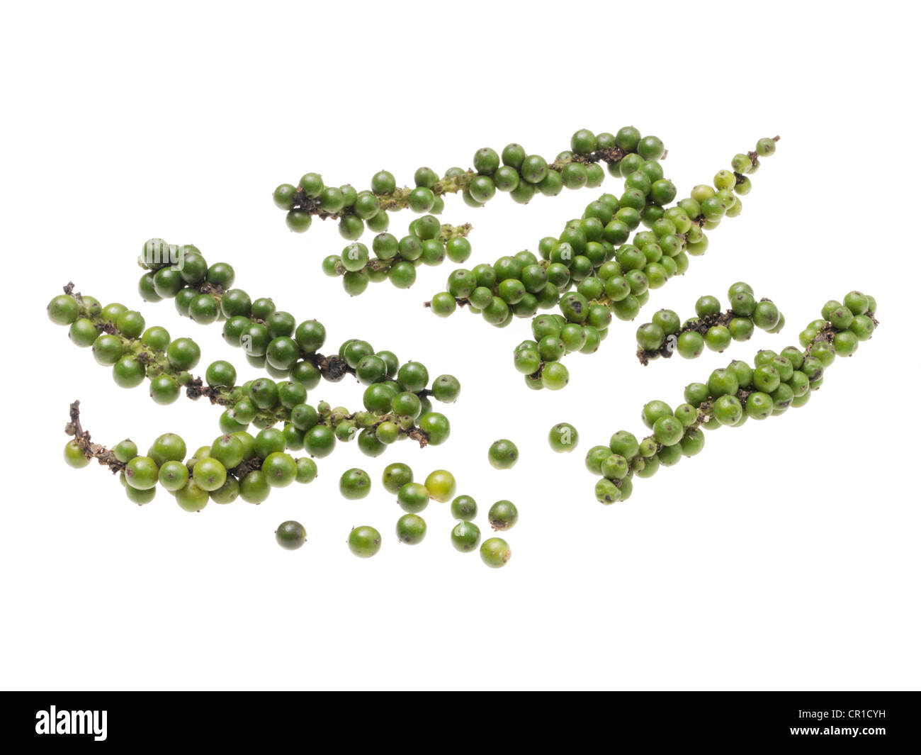 Green pepper panicles Stock Photo - Alamy