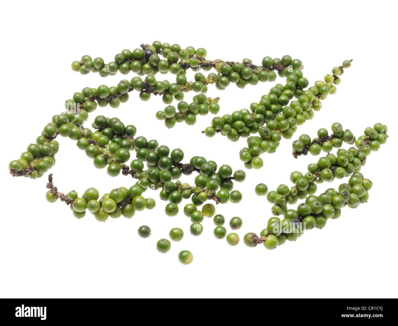Green pepper panicles Stock Photo - Alamy