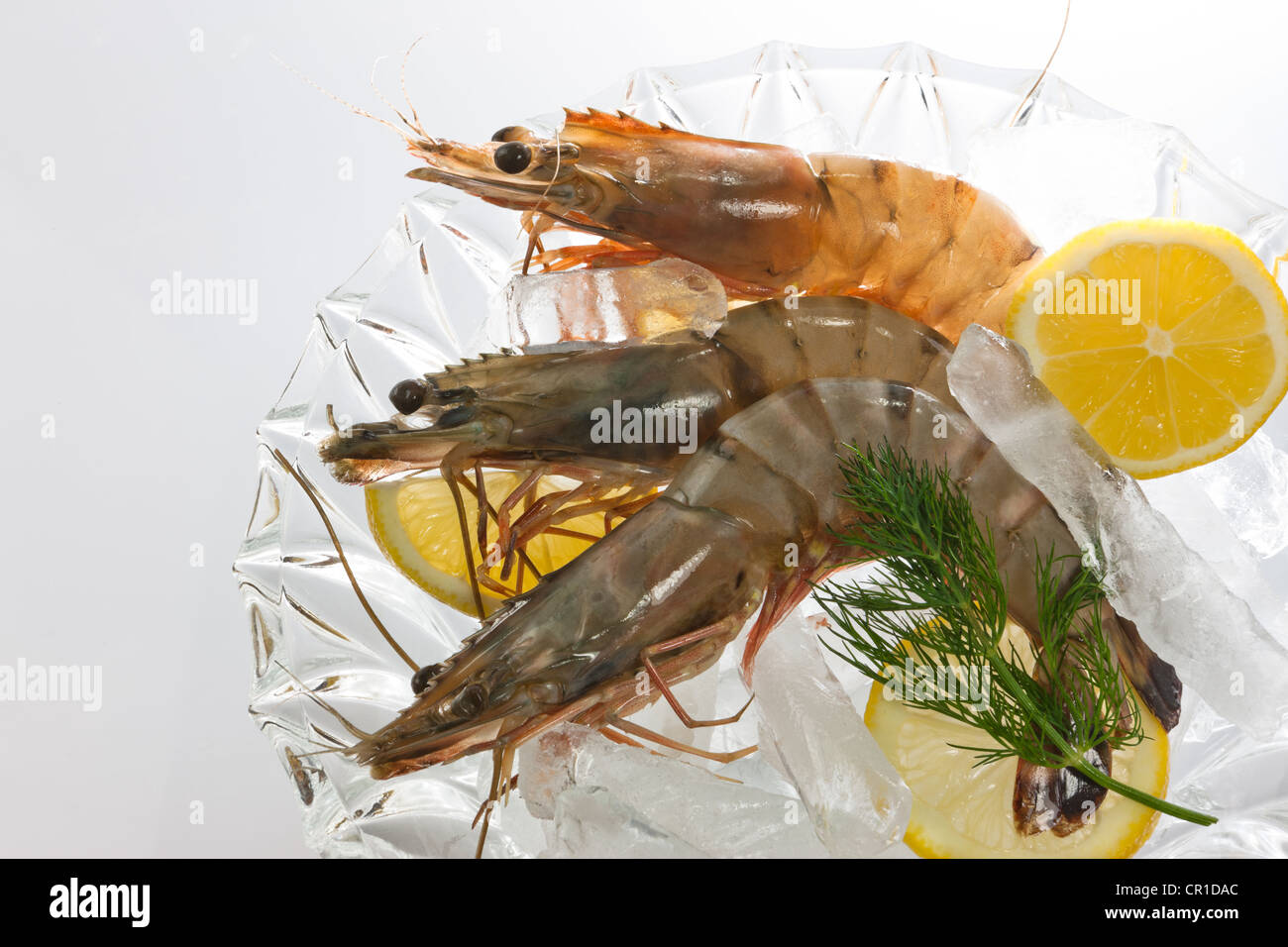 Raw Black Tiger Prawn (Penaeus monodon), shrimp with lemon, salad and ...