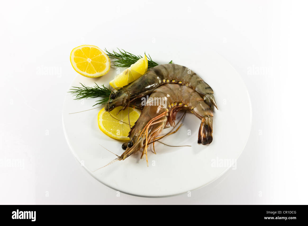 Raw Black Tiger Prawns (Penaeus monodon), shrimp with lemon and dill on ...
