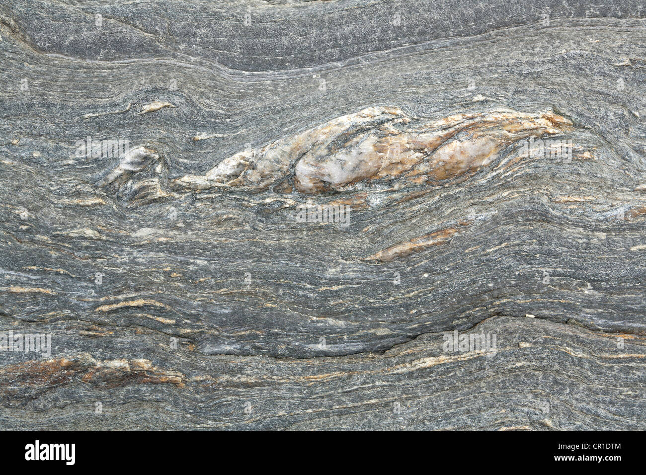 close up of coastal proterozoic rock deposits with quartz inclusions on ...