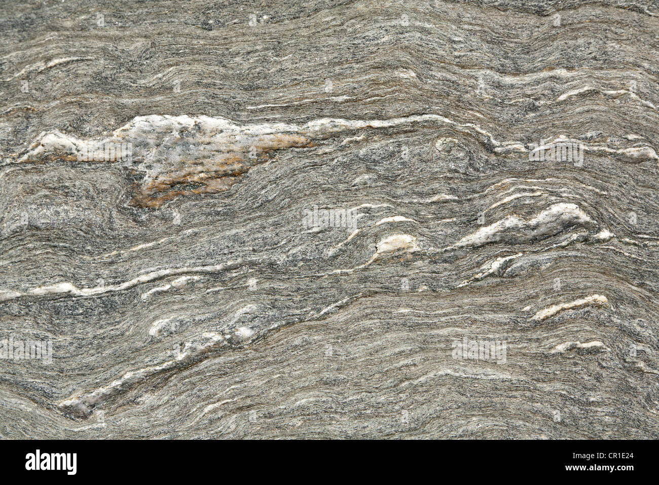 coastal proterozoic rock deposits with quartz inclusions on the ...