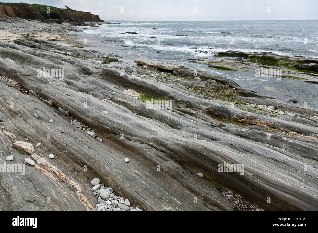coastal proterozoic rock deposits with quartz inclusions on the ...