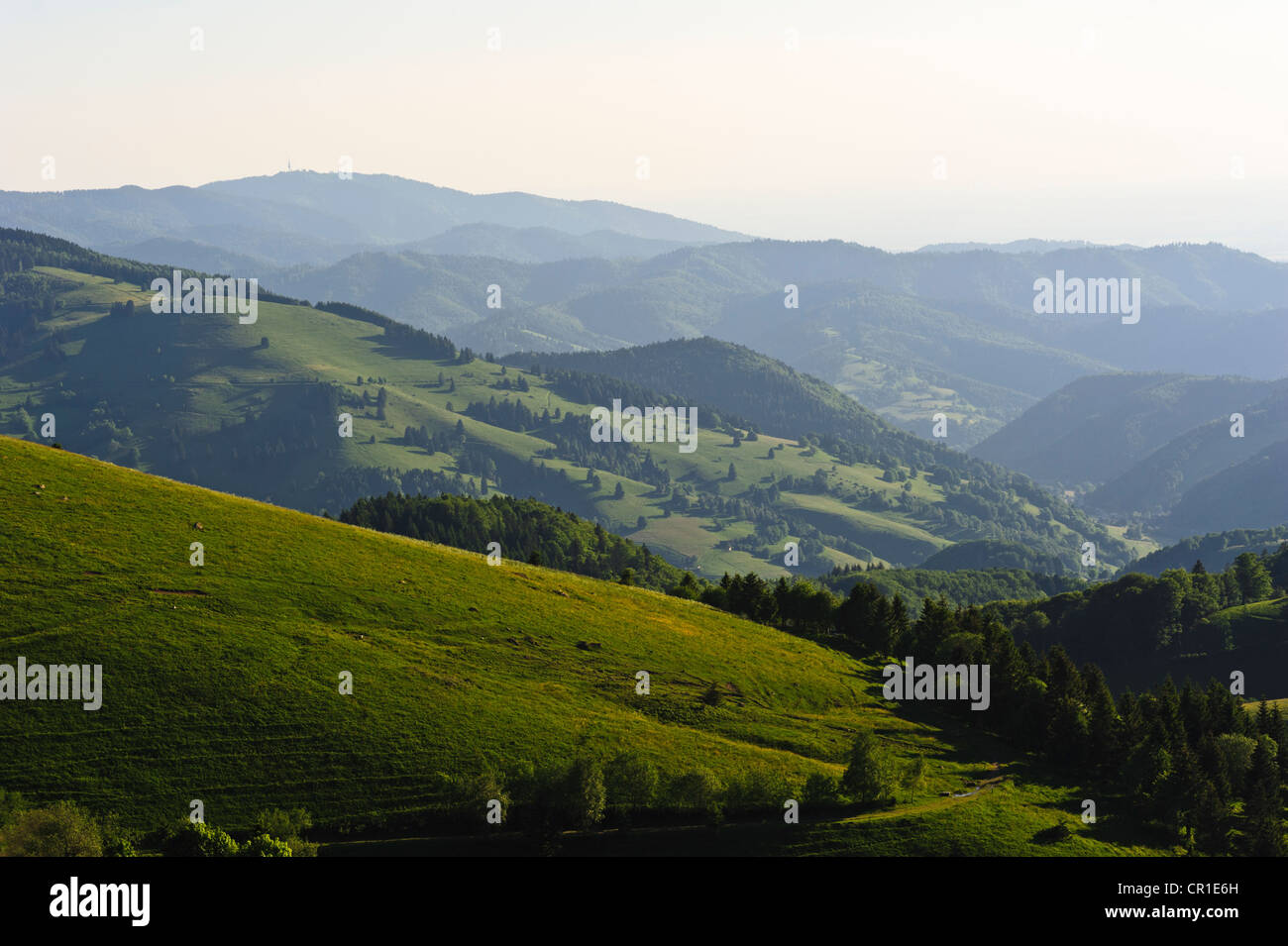 Selva nera hi-res stock photography and images - Alamy