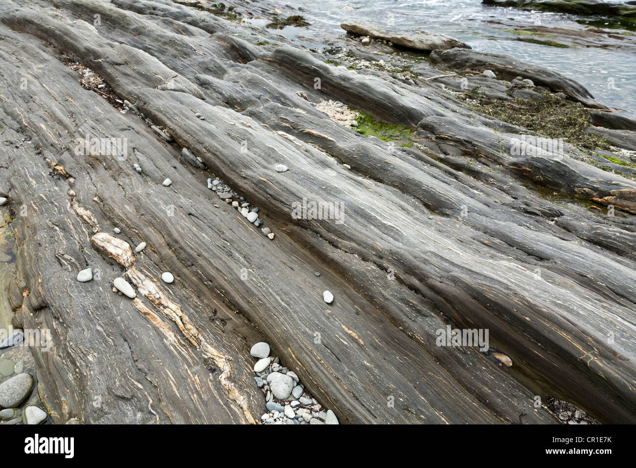 coastal proterozoic rock deposits with quartz inclusions on the ...