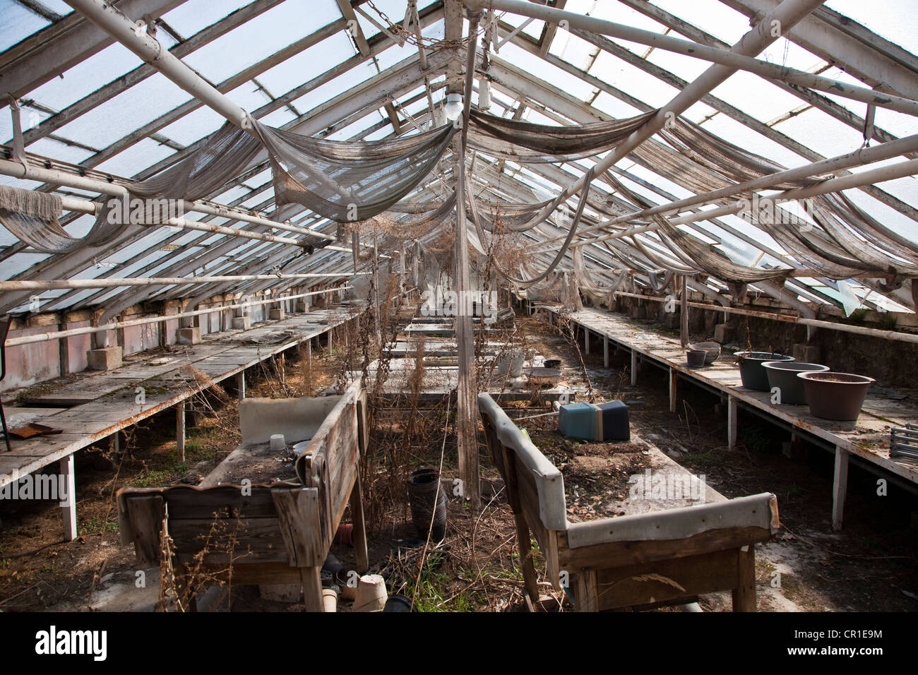 Decayed greenhouses hi-res stock photography and images - Alamy