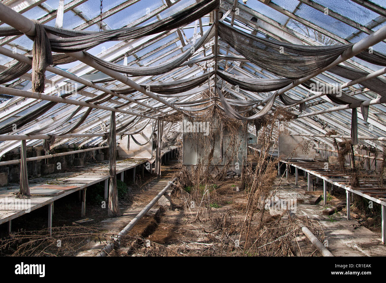 Decayed greenhouses hi-res stock photography and images - Alamy