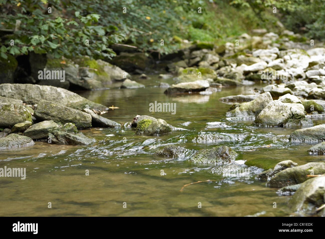 detail of a small idyllic stream in Southern Germany, small focus Stock ...