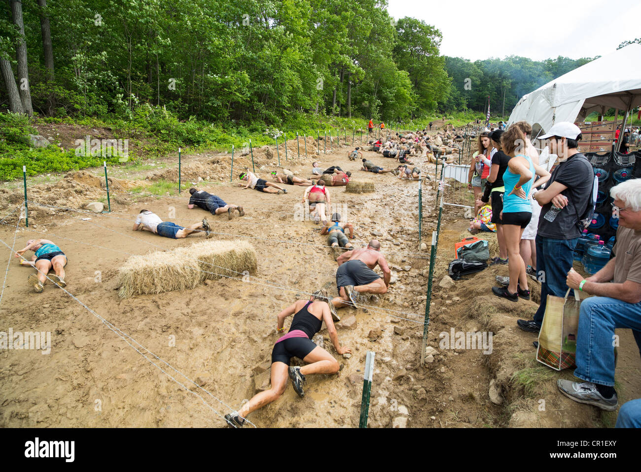 Participants of challenging sprint obstacle trail race, Spartan Race in ...