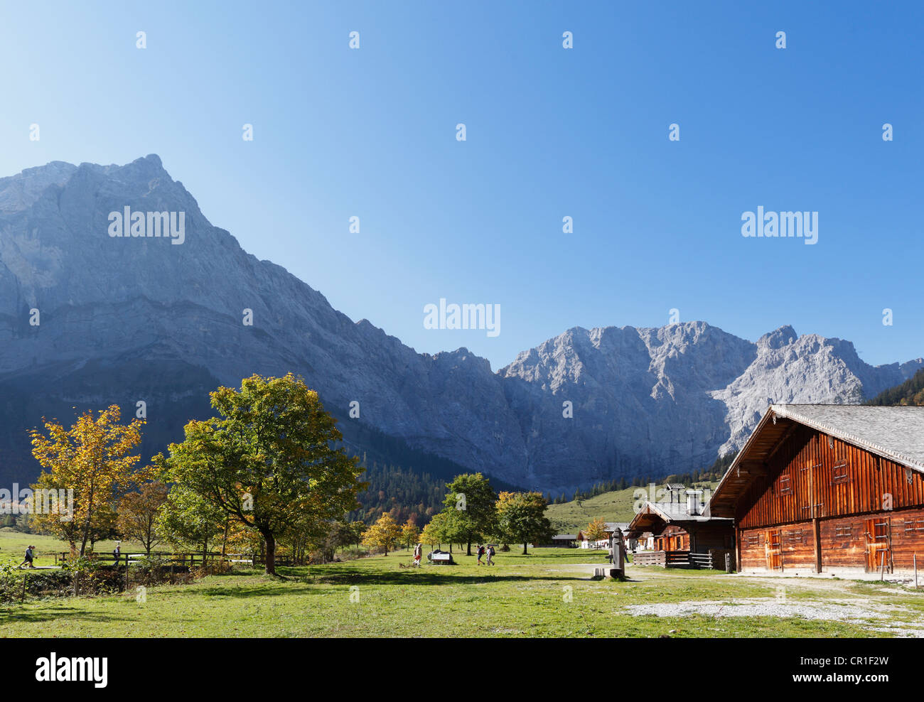 Eng-Alm, mountain pasture, Grosser Ahornboden, pasture with maple trees ...