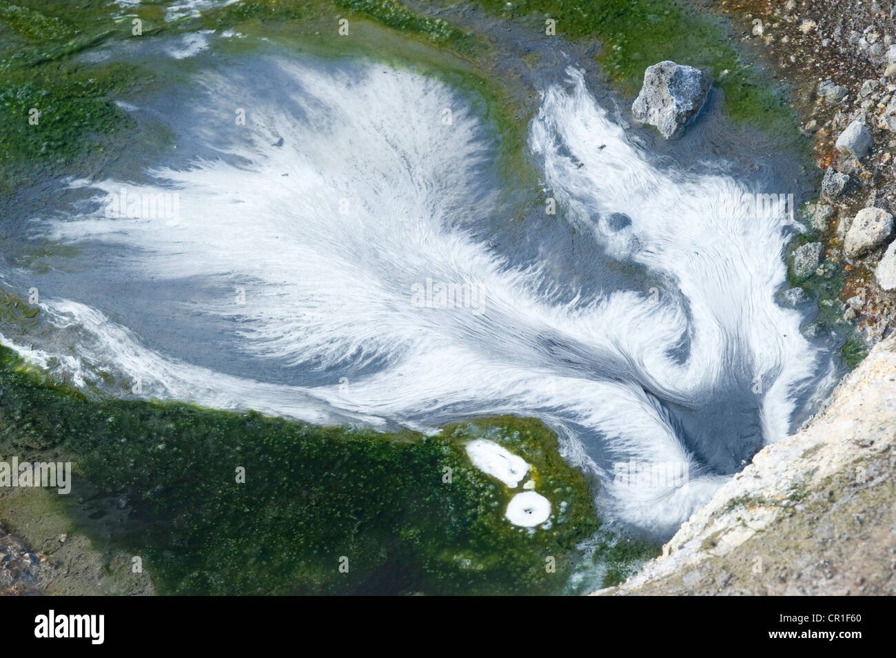 Algae growing in hot springs in the geothermal area at Vonarskarð ...