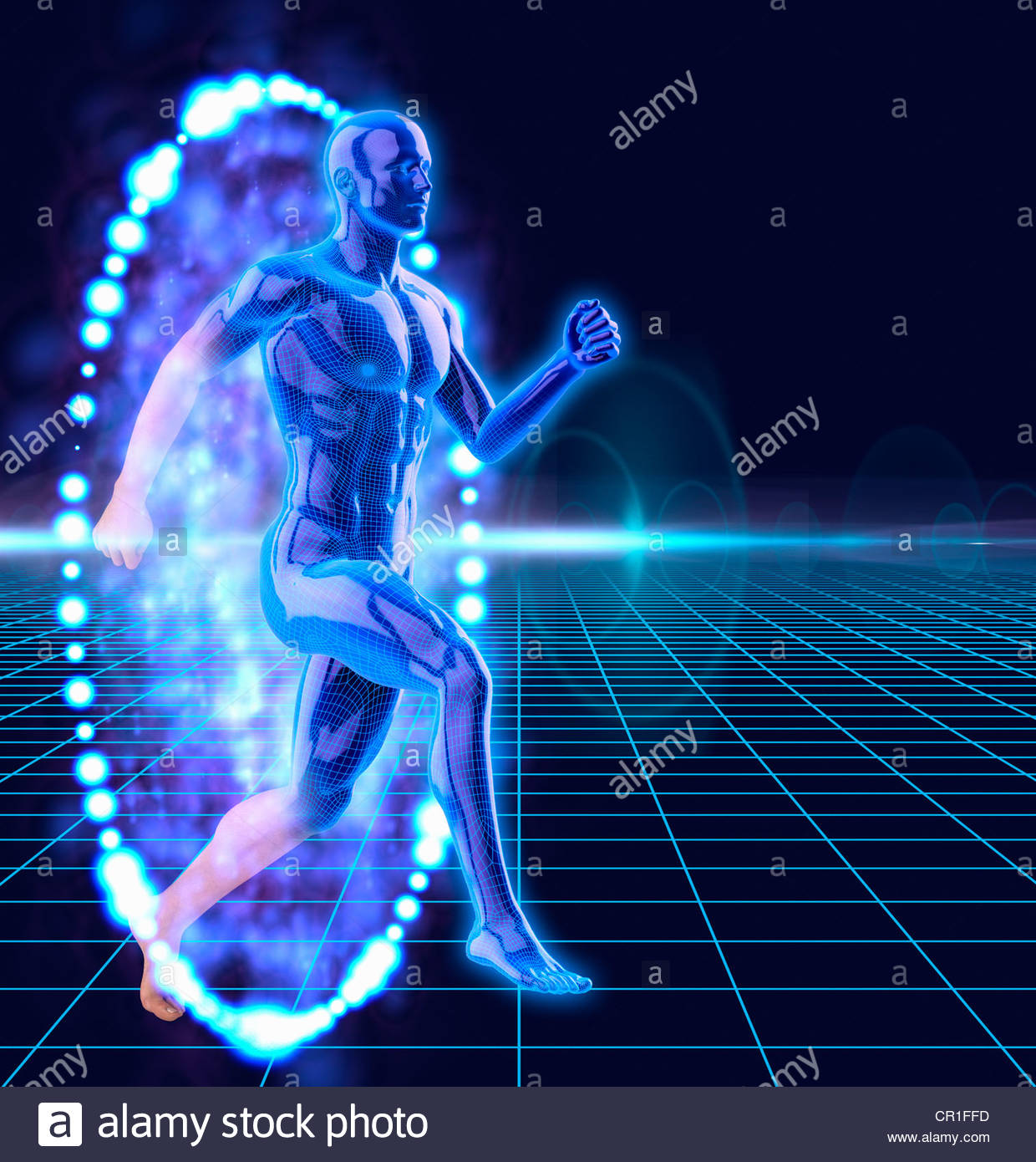 Anatomical Illustrations Human Body Stock Photos & Anatomical ...