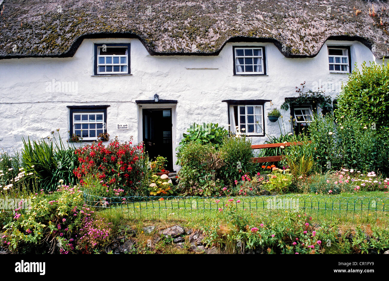 United Kingdom, Cornwall, Coverack, cottage Stock Photo - Alamy