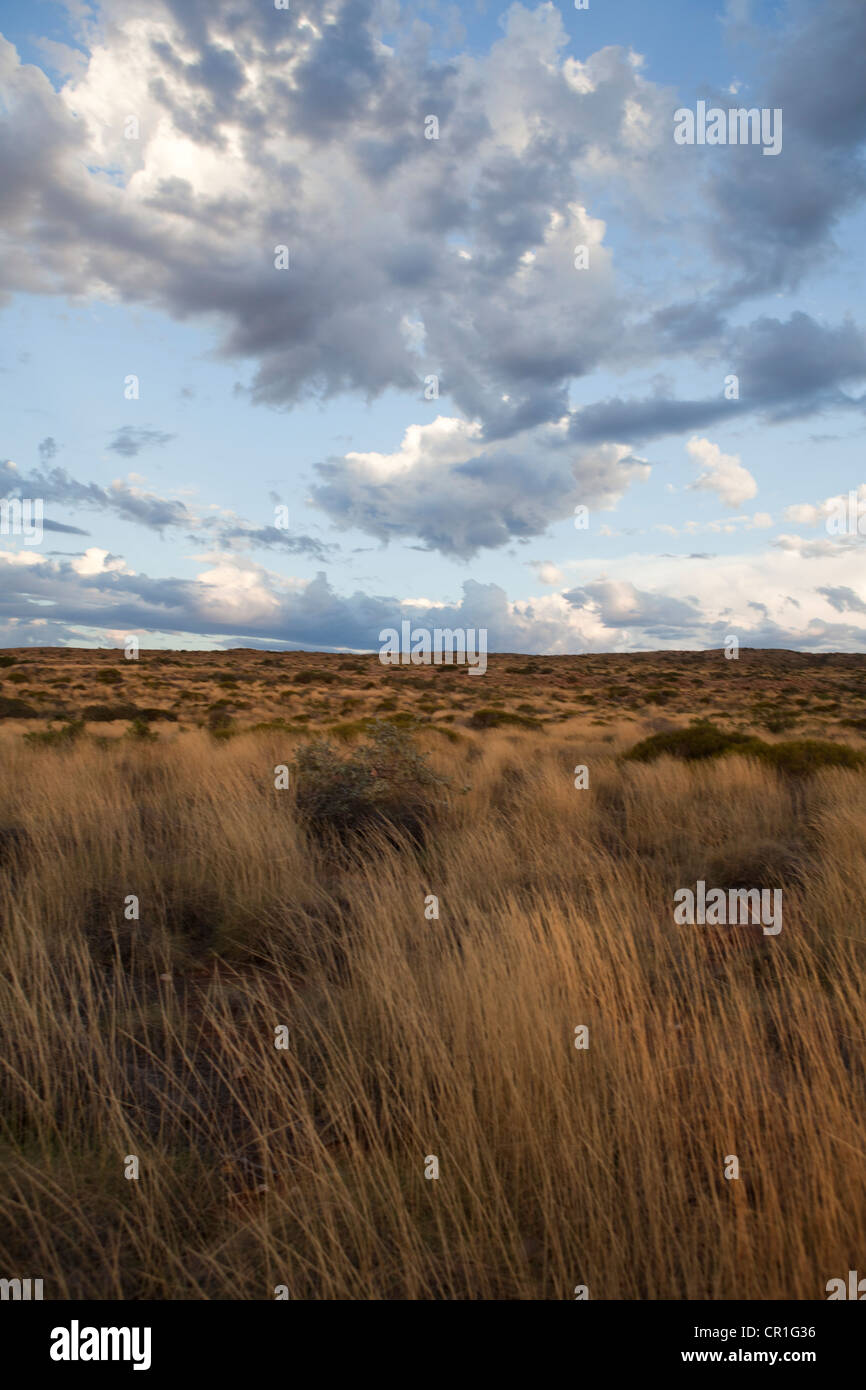 Australian outback road hi-res stock photography and images - Alamy