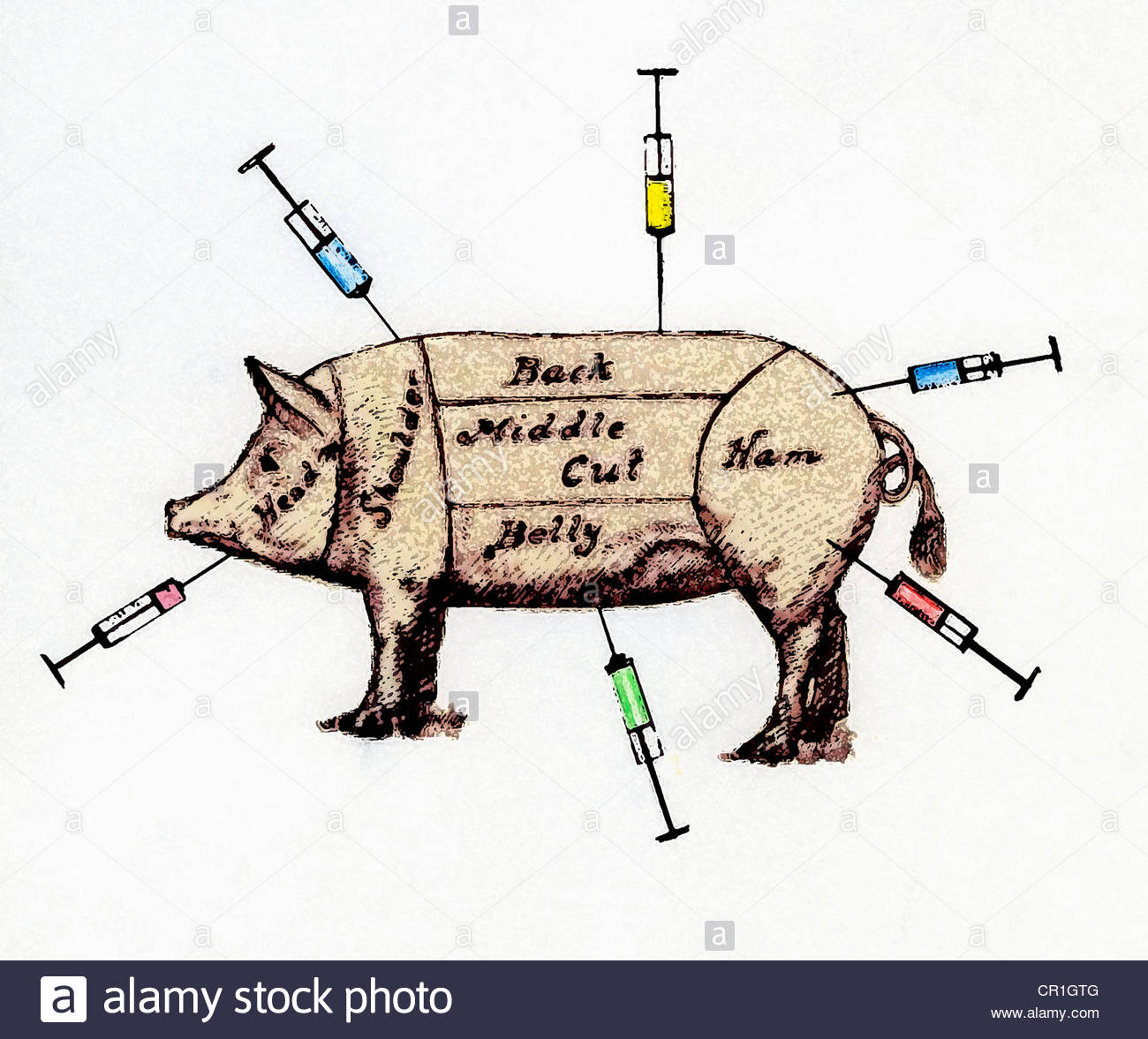 Pig Sticking Stock Photos & Pig Sticking Stock Images - Alamy