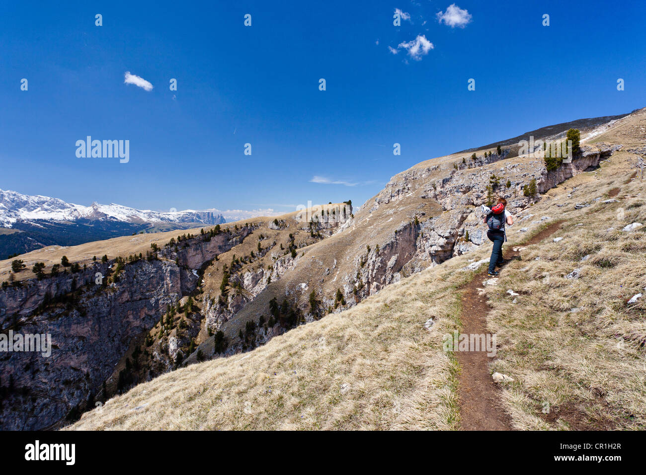 Climber at the end of the Stevia climbing route in Vallunga near Selva ...