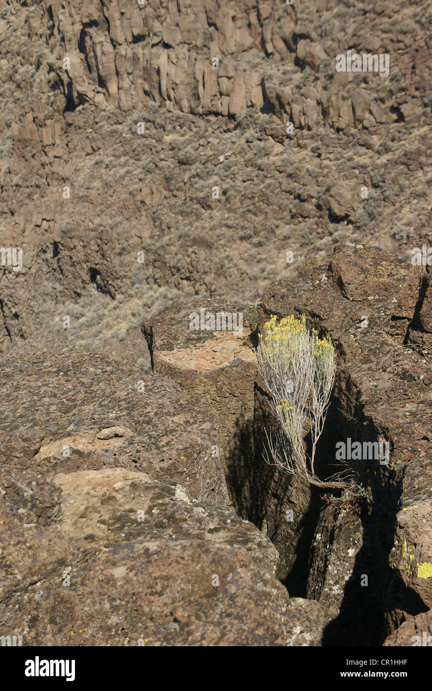 Crooked columns hi-res stock photography and images - Alamy