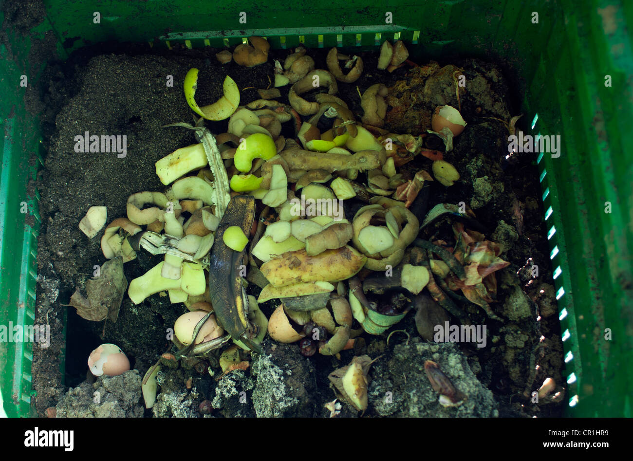 Compost in a bucket Stock Photo - Alamy