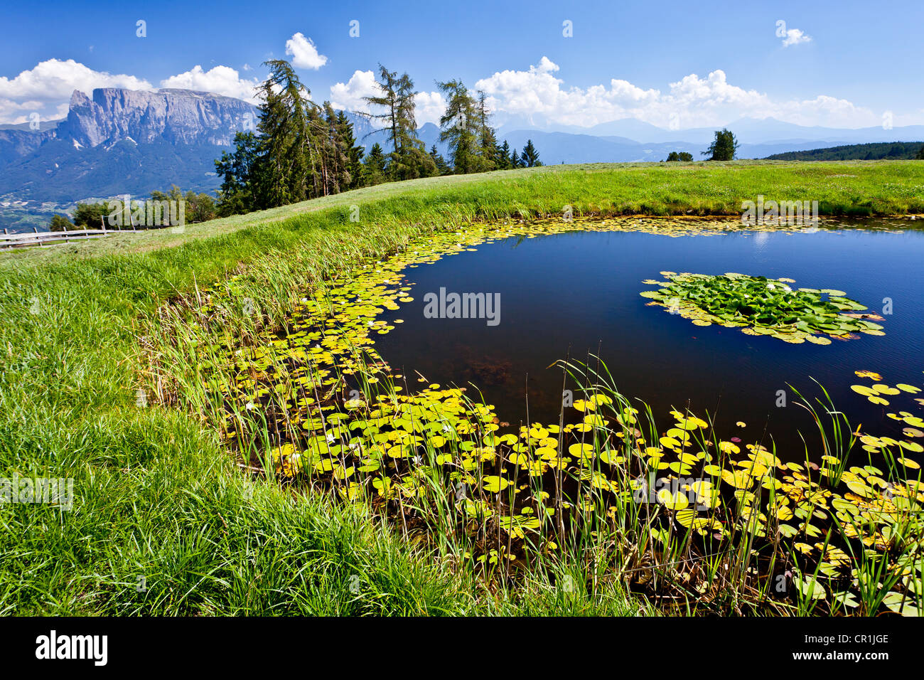On the Ritten or Renon high plateau, towards Mt Sciliar or Schlern ...