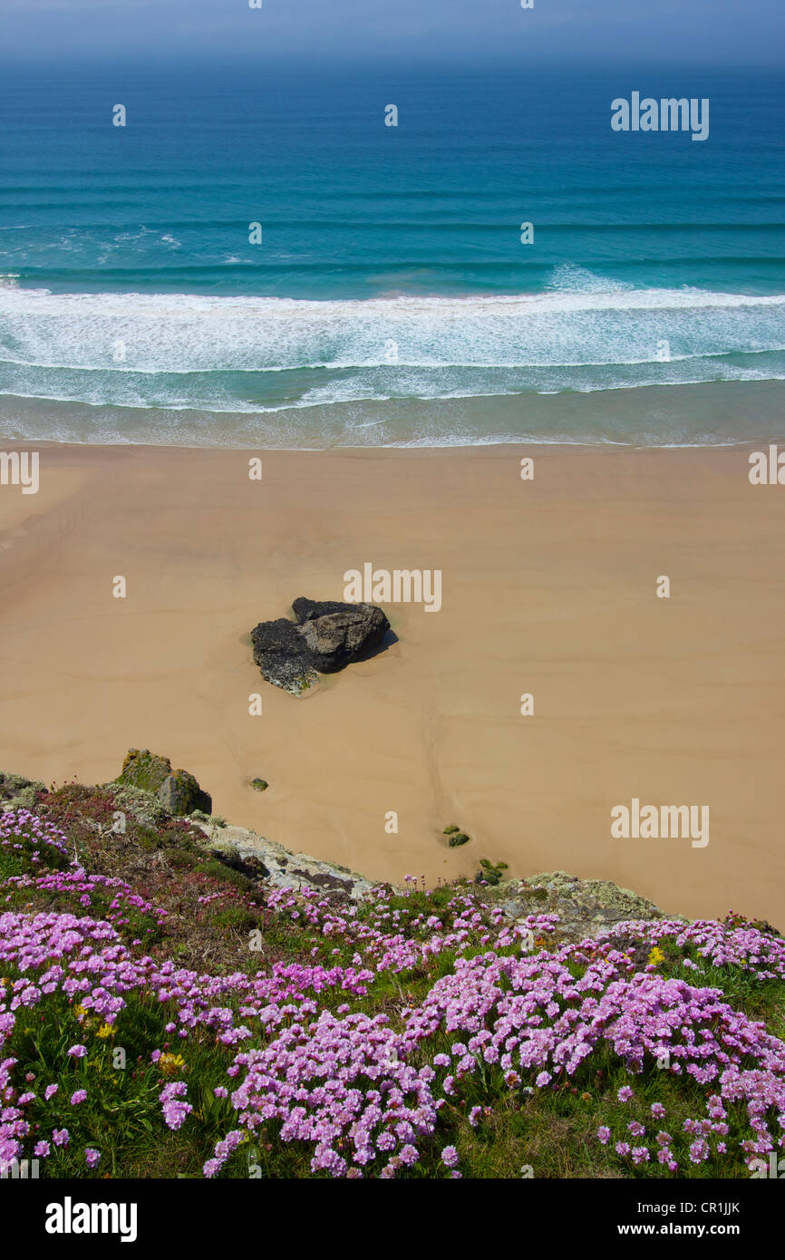 Misty spring day beach hi-res stock photography and images - Alamy