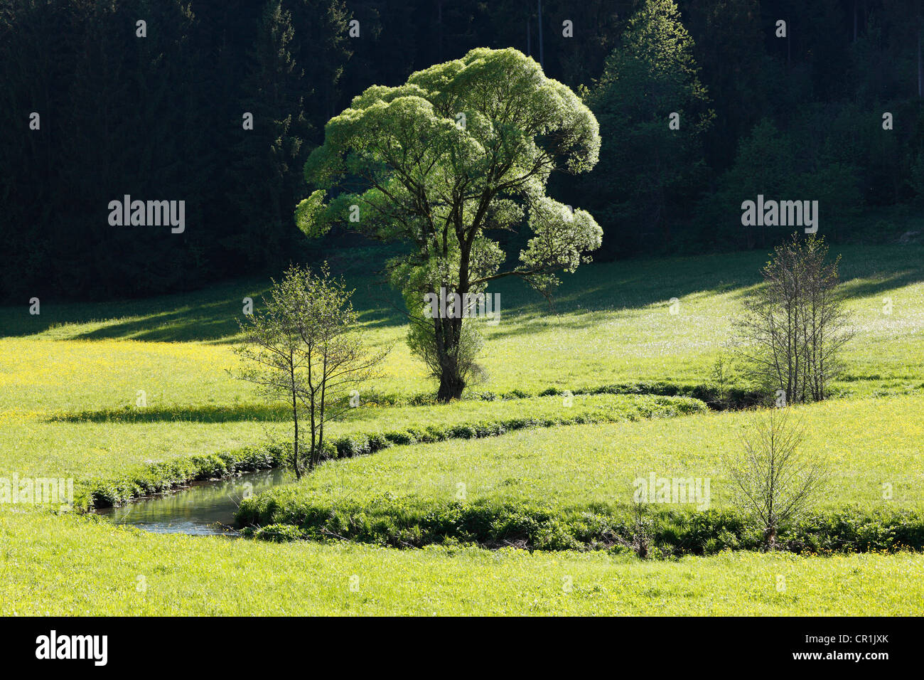 Aufsesstal valley, Aufsess River near Neuhaus, Little Switzerland ...