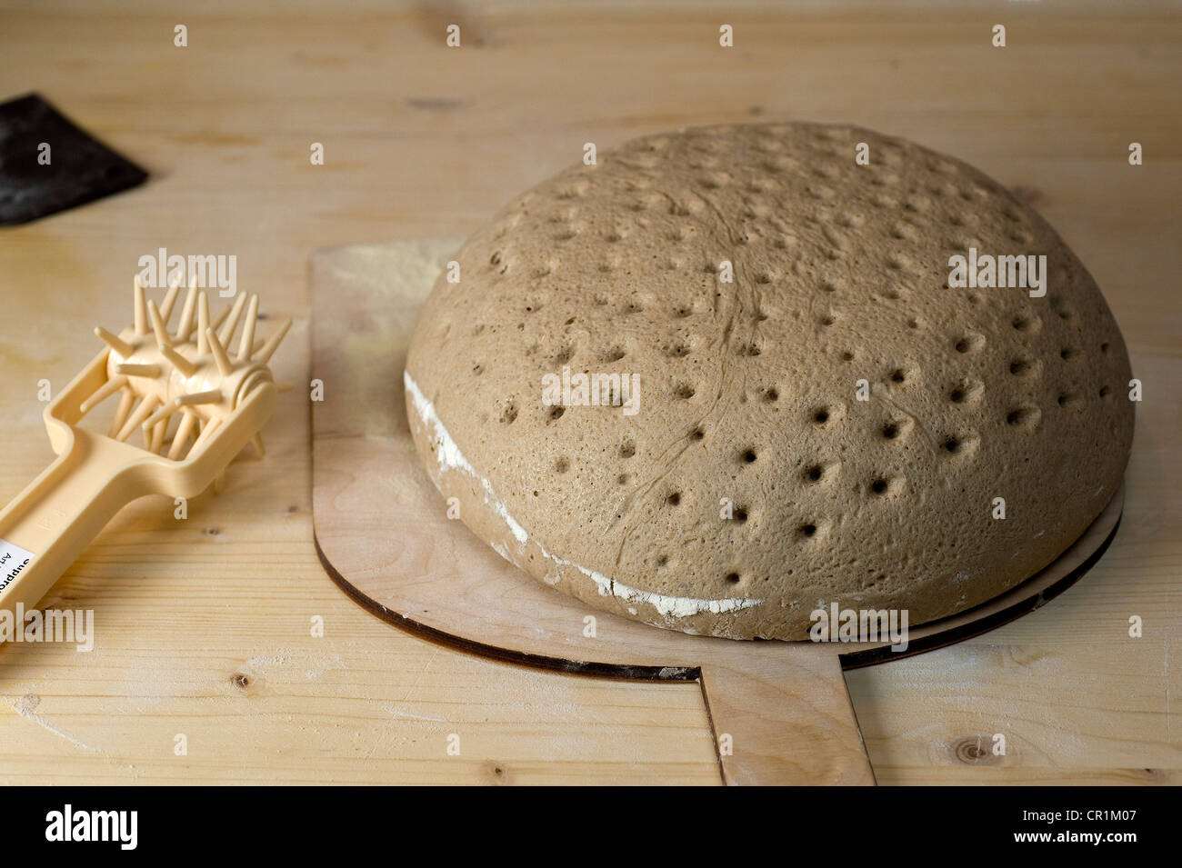 Docking roller beside docked dough with rye sourdough, rye flour, wheat ...