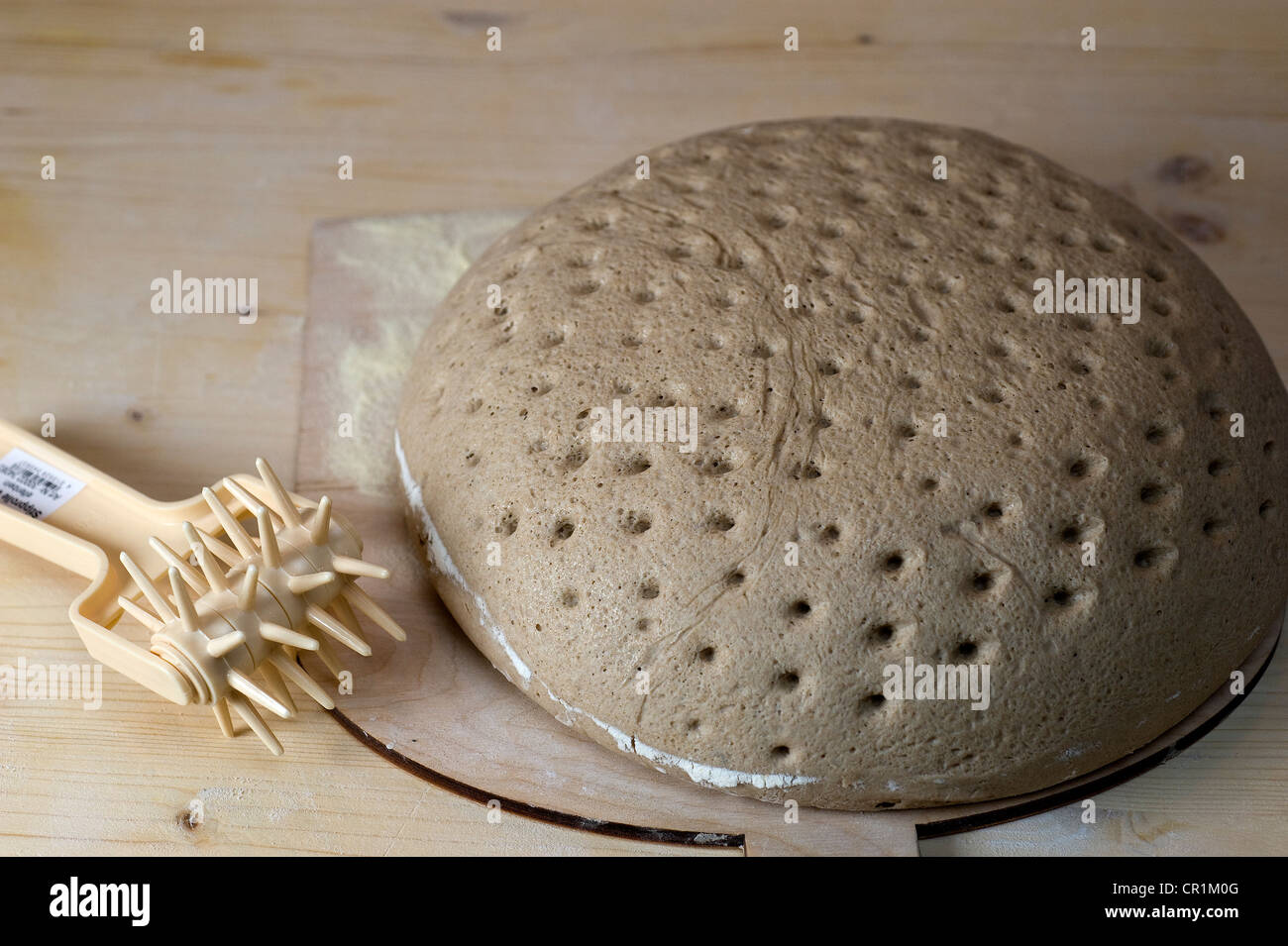 Docking roller beside docked dough with rye sourdough, rye flour, wheat ...