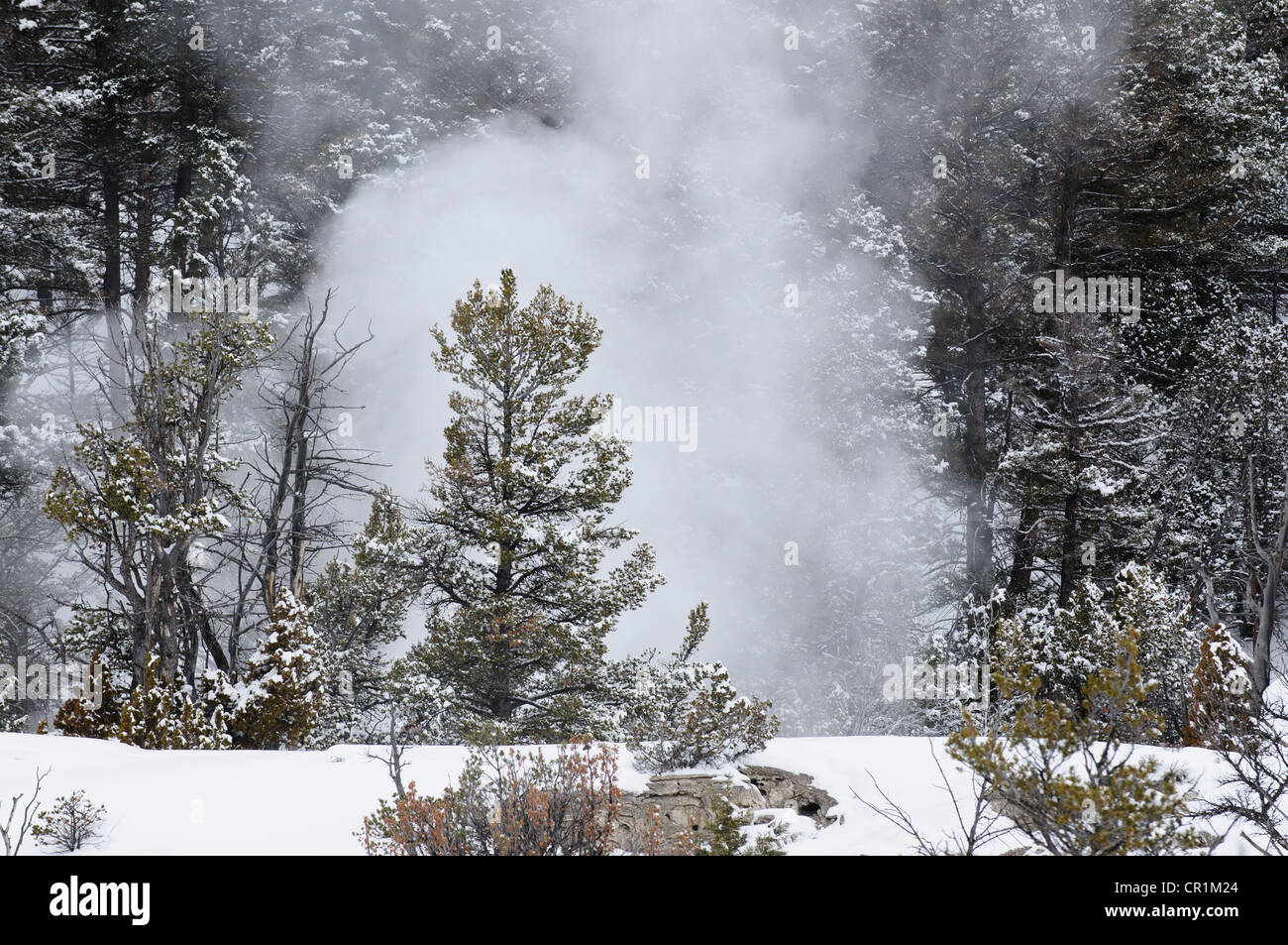 Winter springs hi-res stock photography and images - Alamy