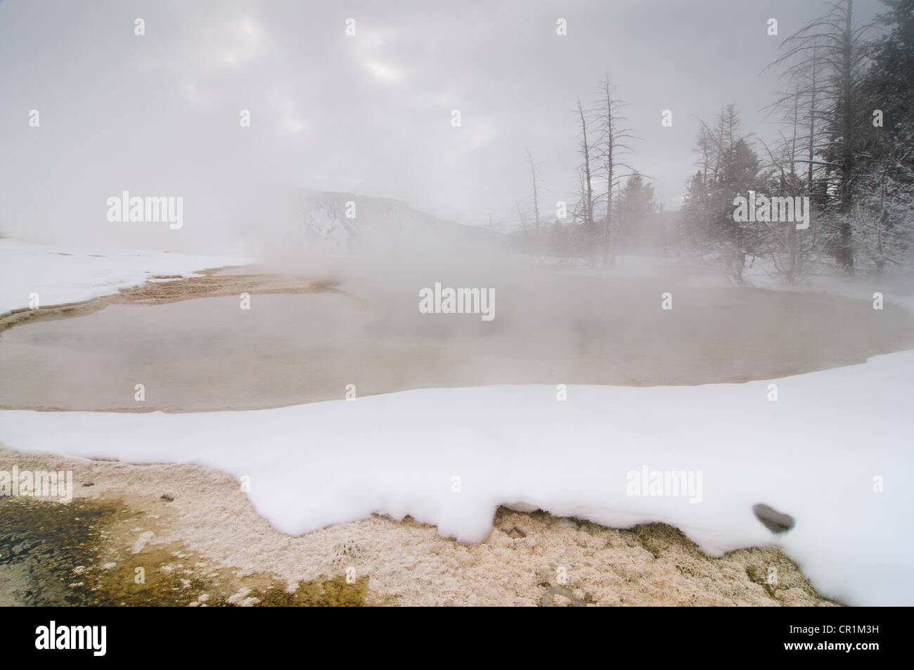 Geyser yellowstone snow hi-res stock photography and images - Alamy