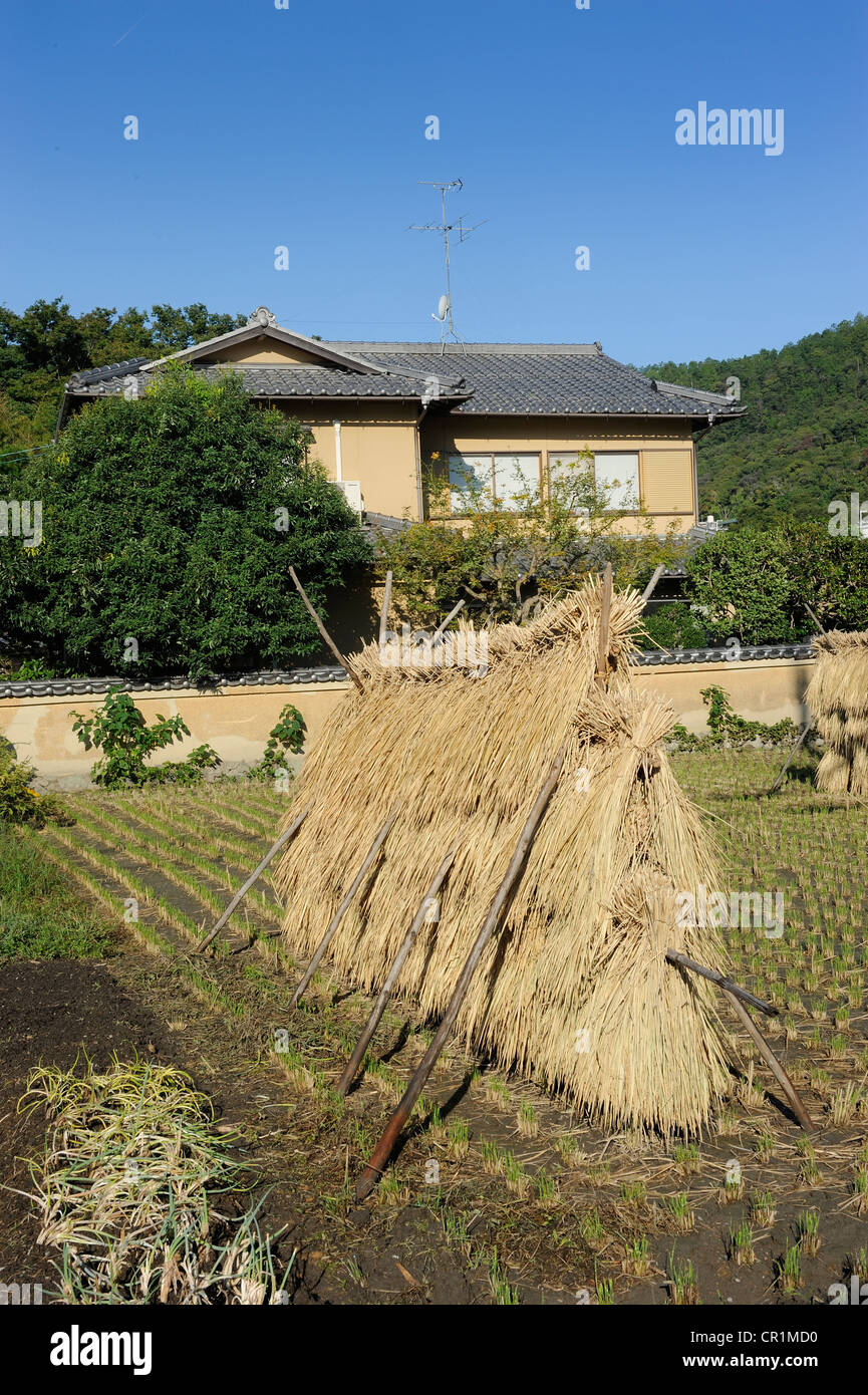 Iwakura hi-res stock photography and images - Alamy