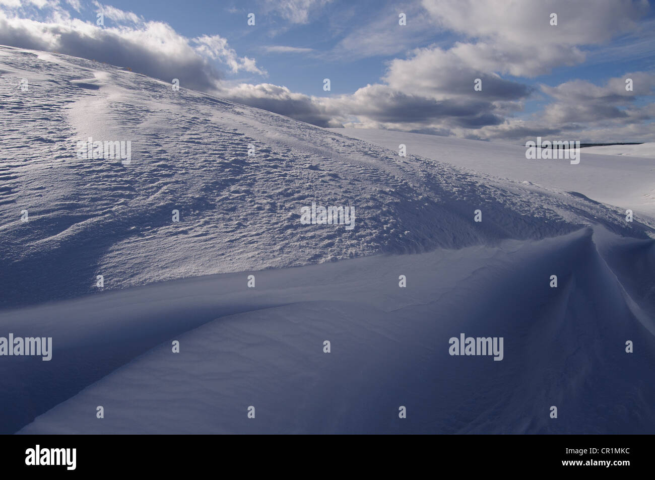 Hayden Valley winter landscape snow Yellowstone national park Stock ...