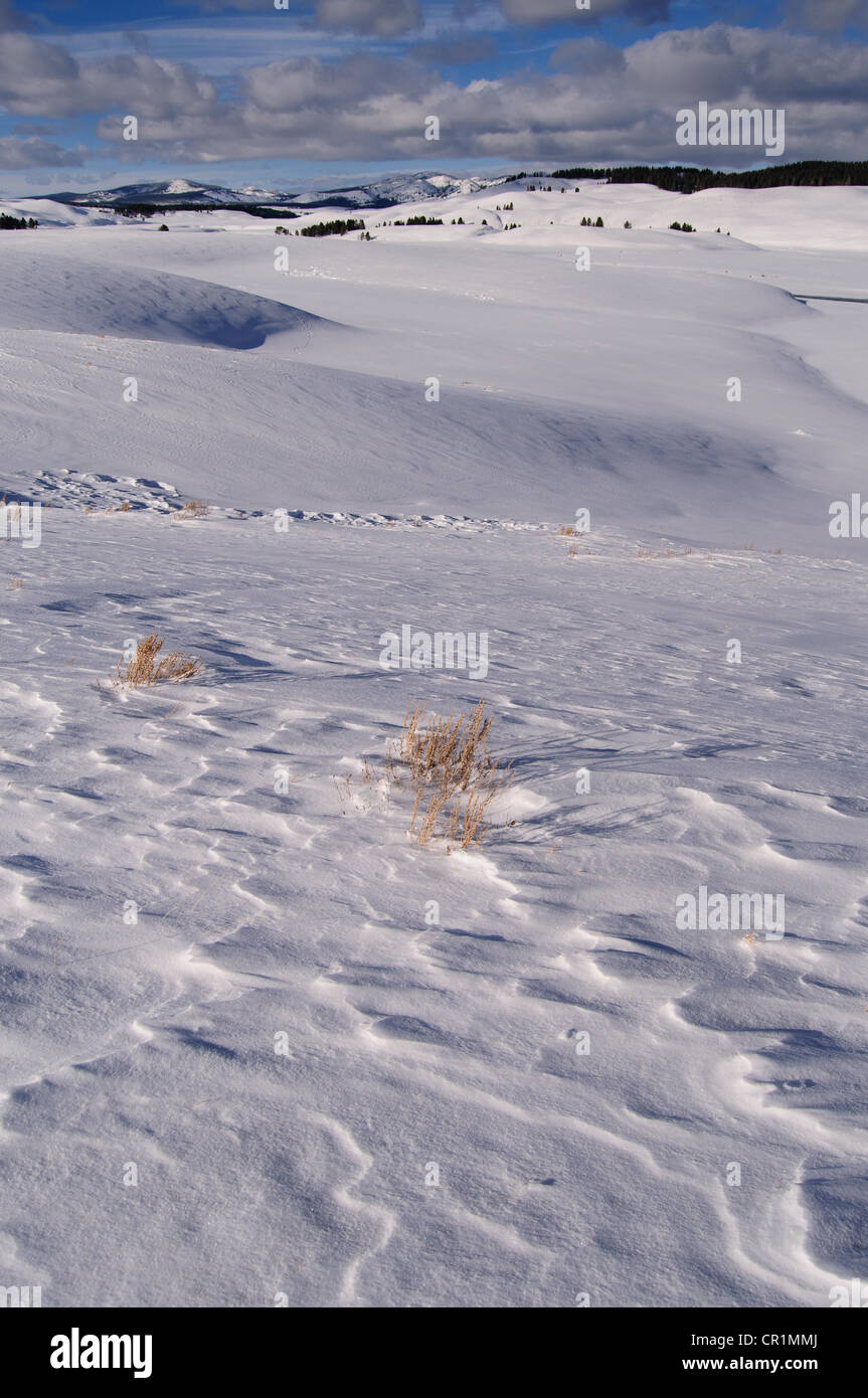 Hayden valley hi-res stock photography and images - Alamy