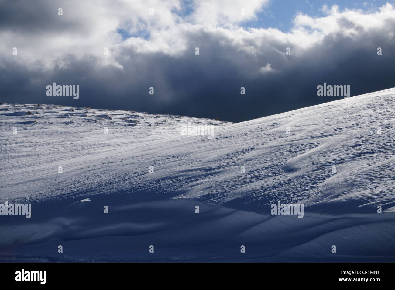 Hayden valley hi-res stock photography and images - Alamy