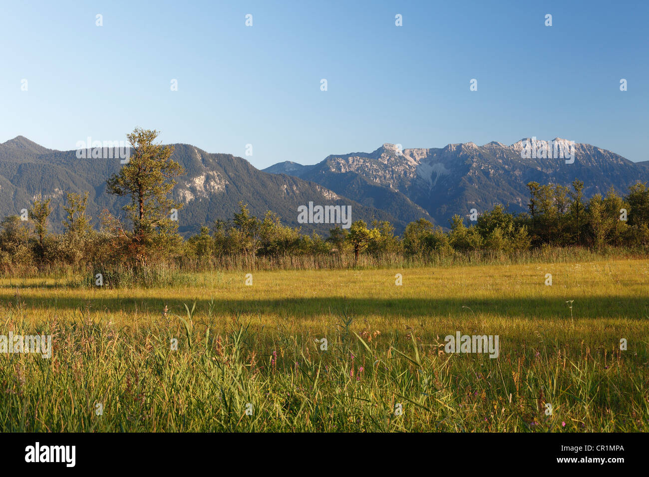 Murnauer Moos marshland and Ester Mountains, Murnau, Blaues Land region ...