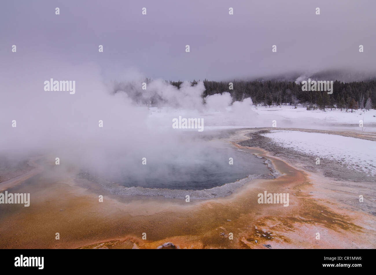 Geyser yellowstone snow hi-res stock photography and images - Alamy