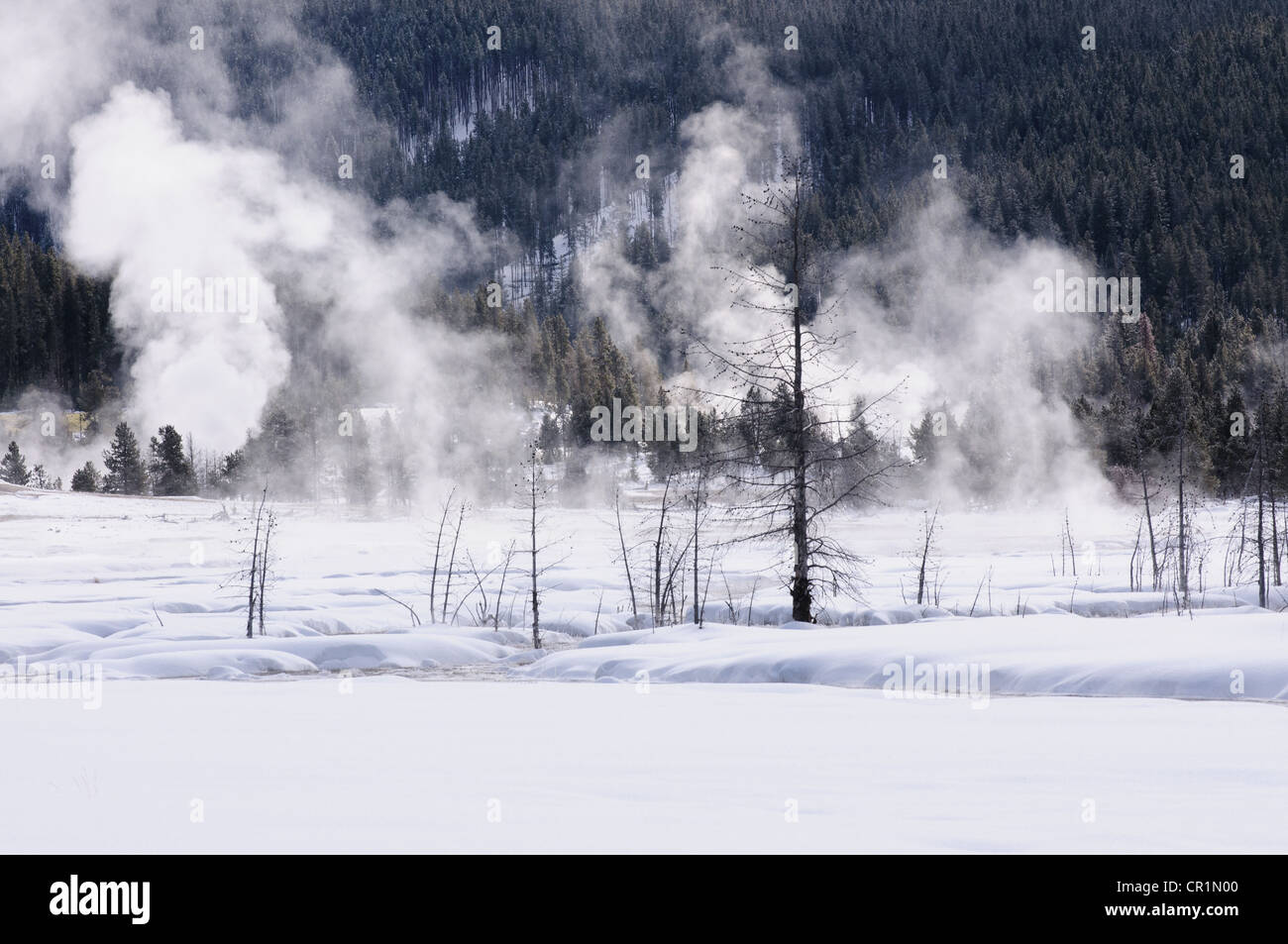 Yellowstone geysers hi-res stock photography and images - Alamy
