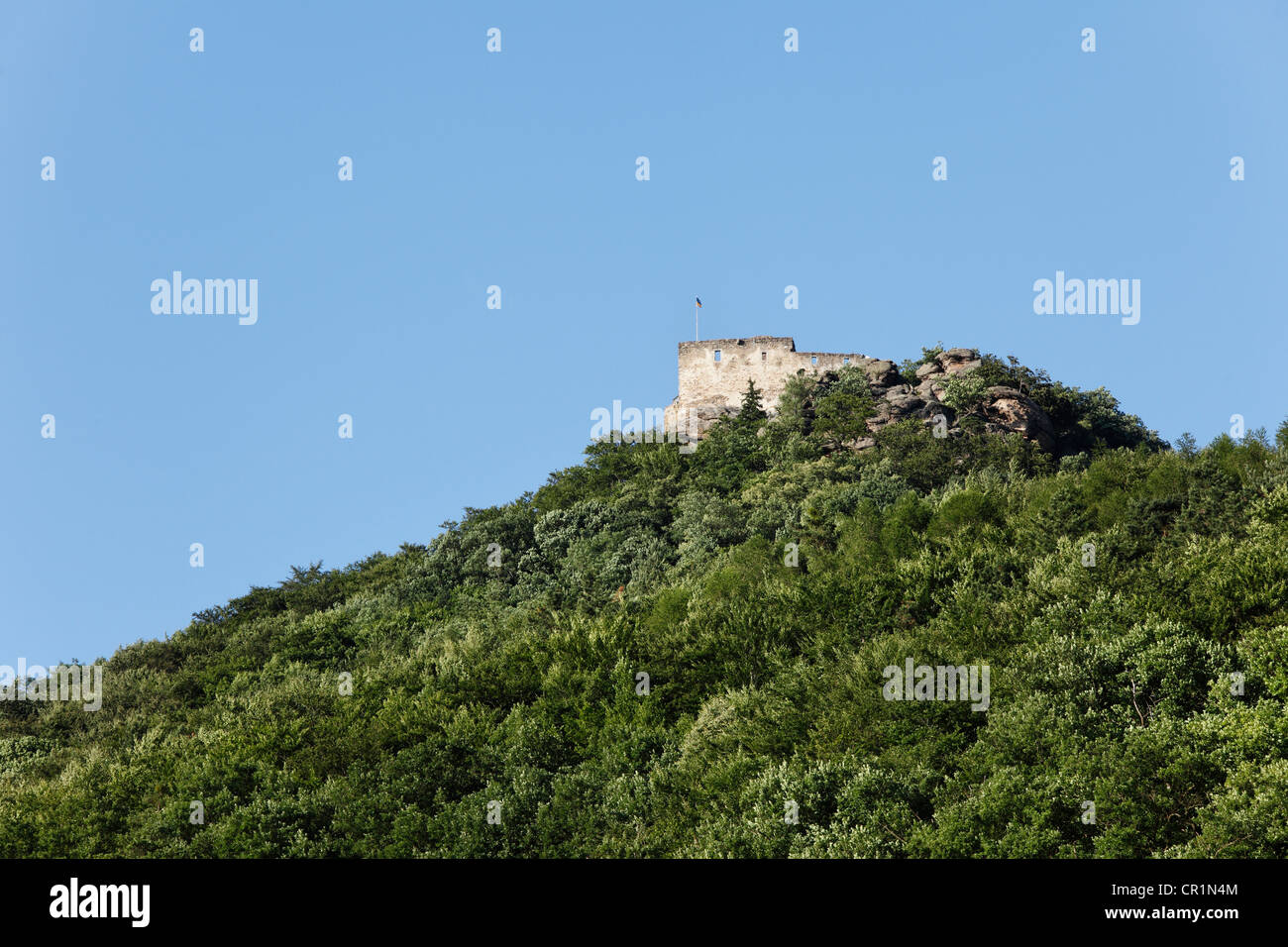 Burgruine Aggstein castle ruins, Wachau, Lower Austria, Austria, Europe ...