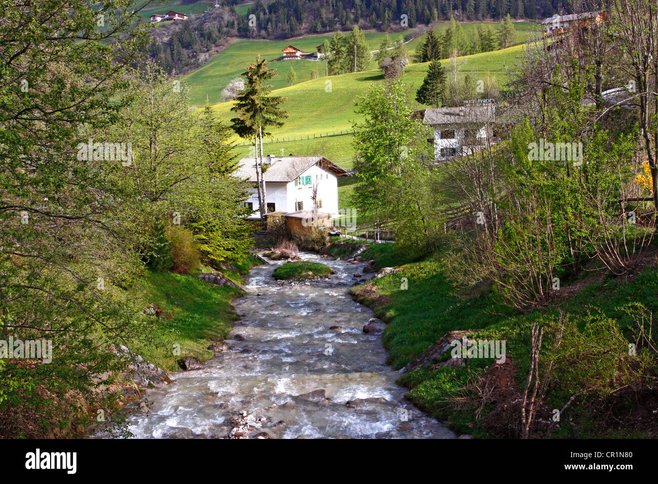 Small mountain river in the Val de Funes,Italy Stock Photo - Alamy