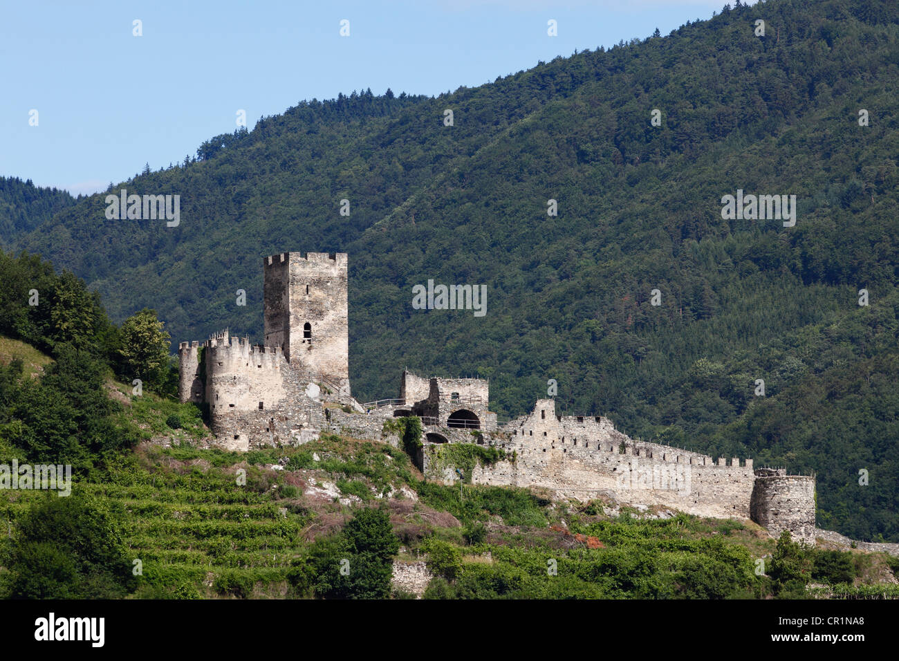 Ruine Hinterhaus castle ruins, Spitz an der Donau, Wachau, Lower ...