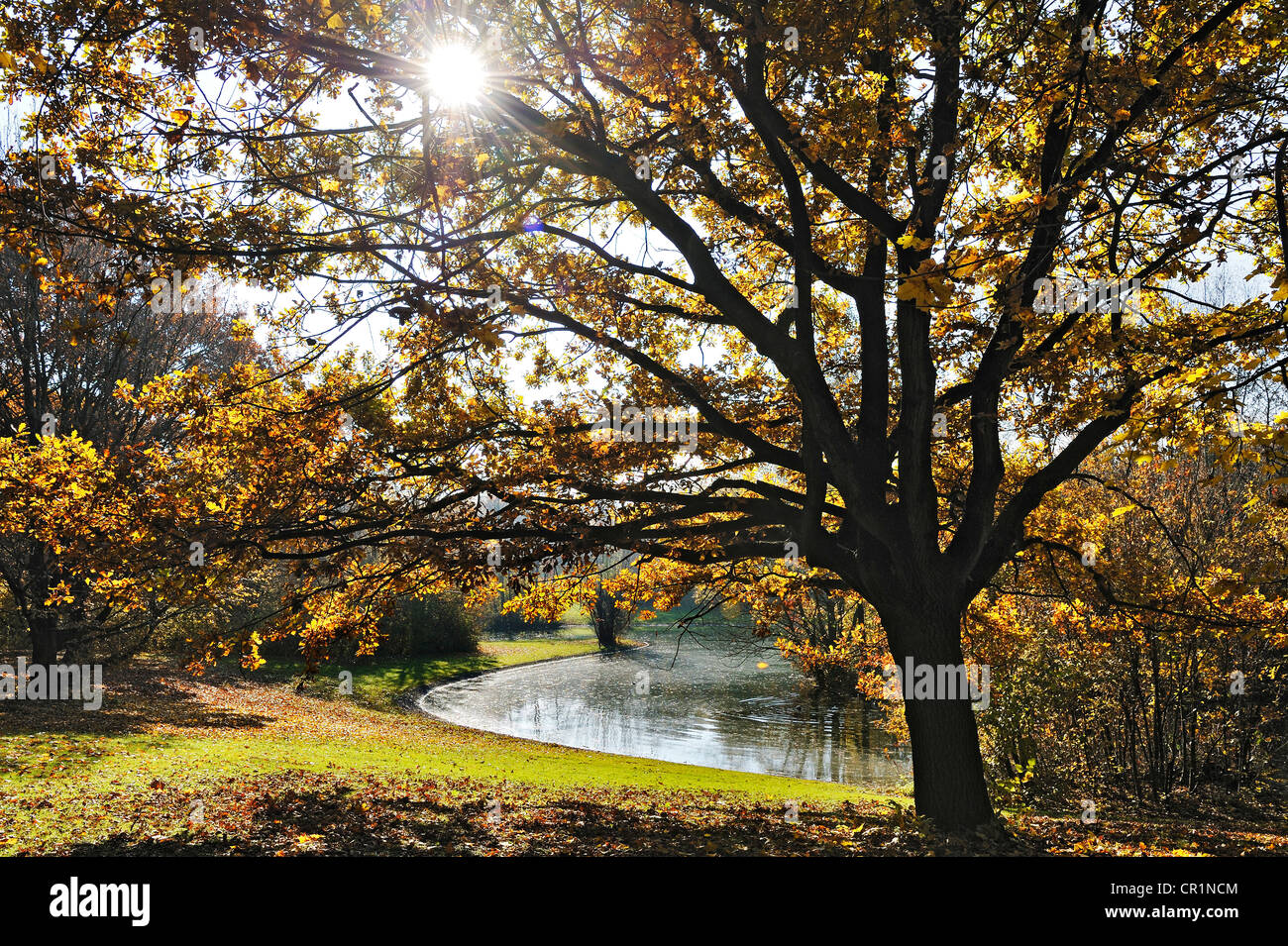 Suffused with light hi-res stock photography and images - Alamy