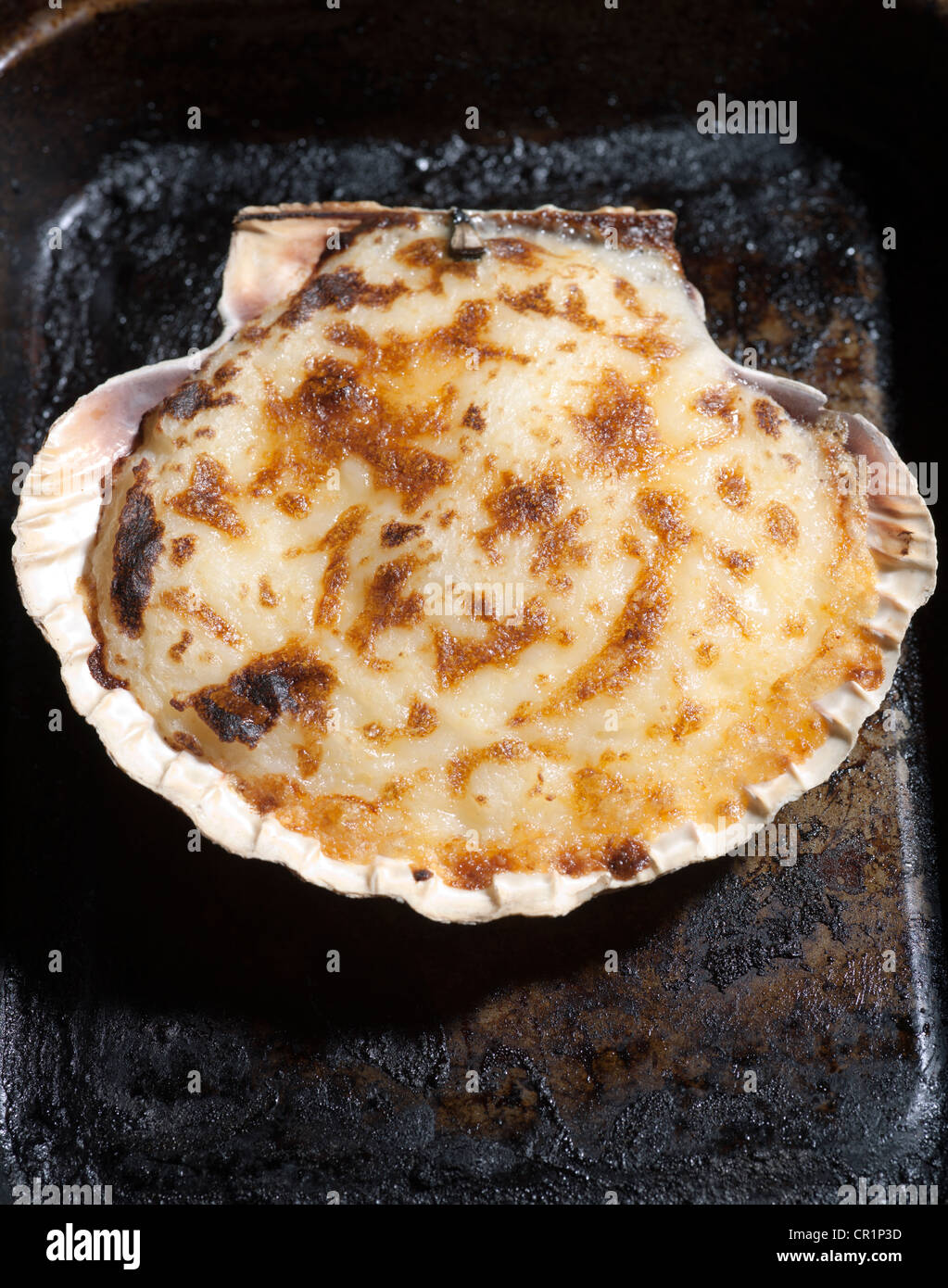 Coquilles st jacques hi-res stock photography and images - Alamy