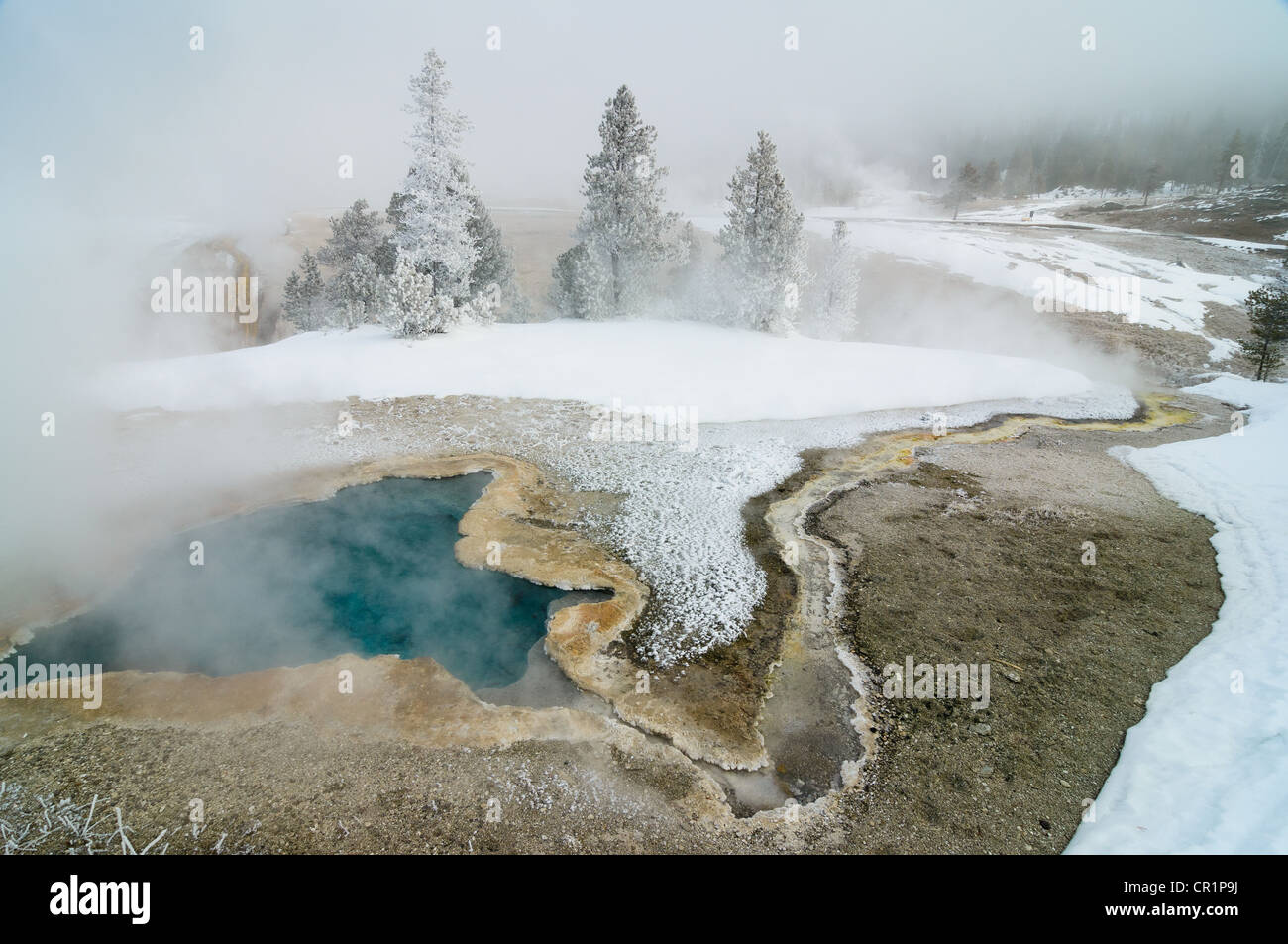 Geyser yellowstone snow hi-res stock photography and images - Alamy