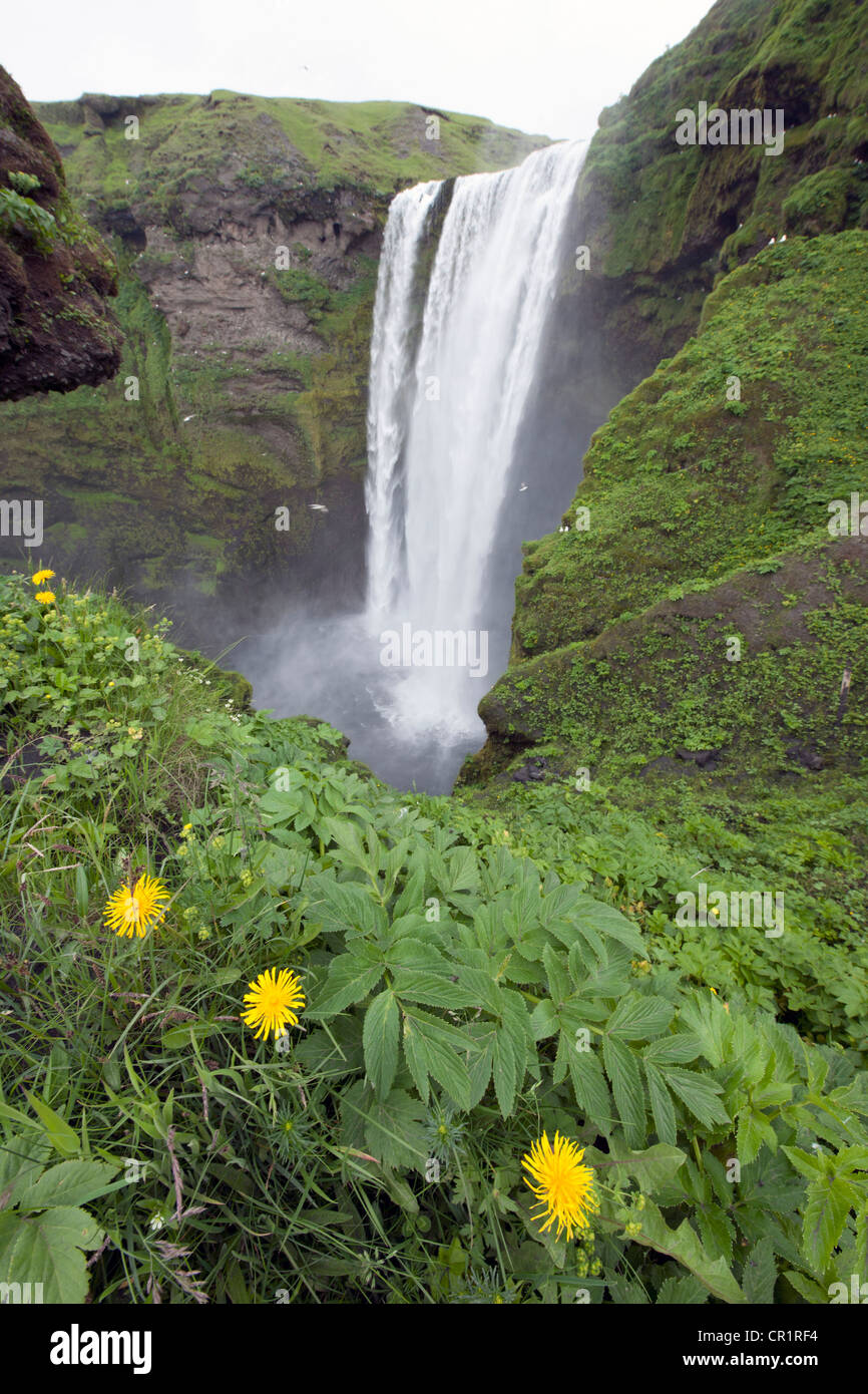The Skogafoss waterfall, Skogar, Iceland, Europe Stock Photo - Alamy